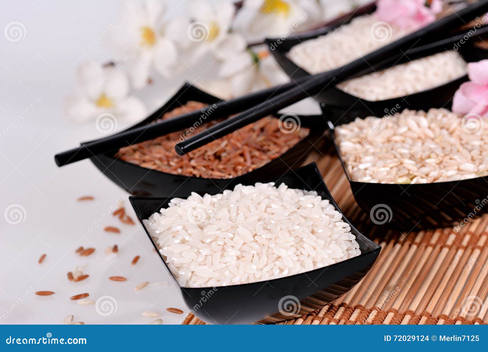 A Collection of Rice Varieties Stock Photo - Image of diversity ...