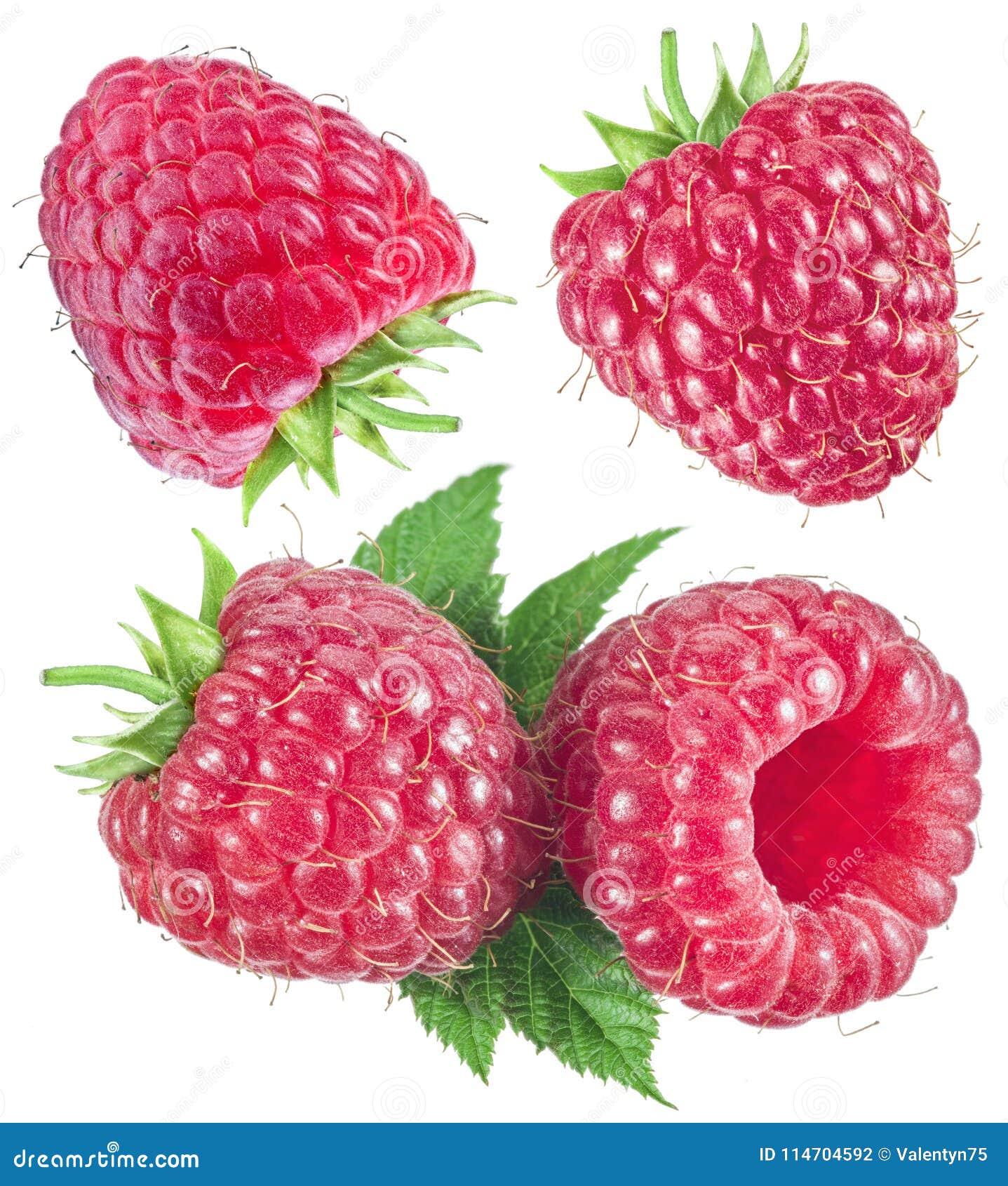 Dry Raspberry Leaves Stock Image | CartoonDealer.com #39966619