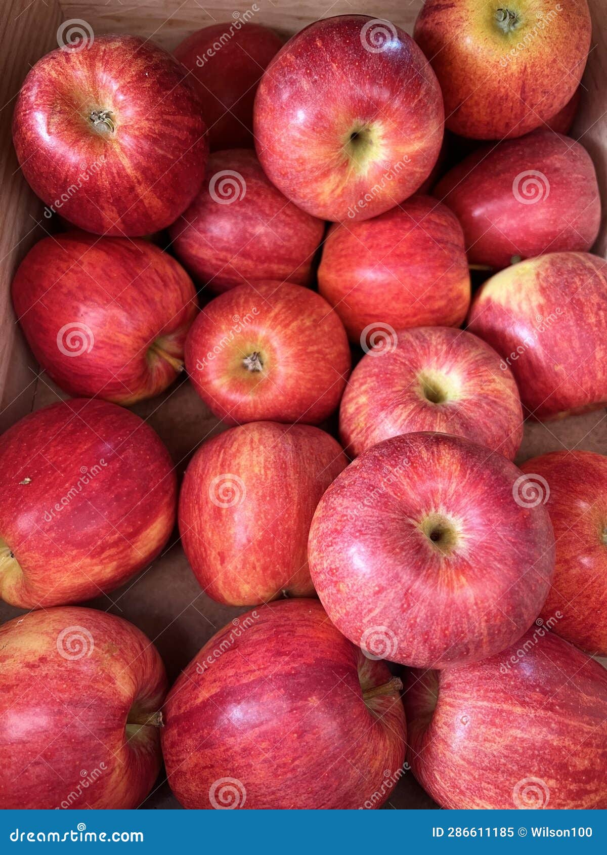 Red Apples stock image. Image of snack, snacks, grown - 286611185