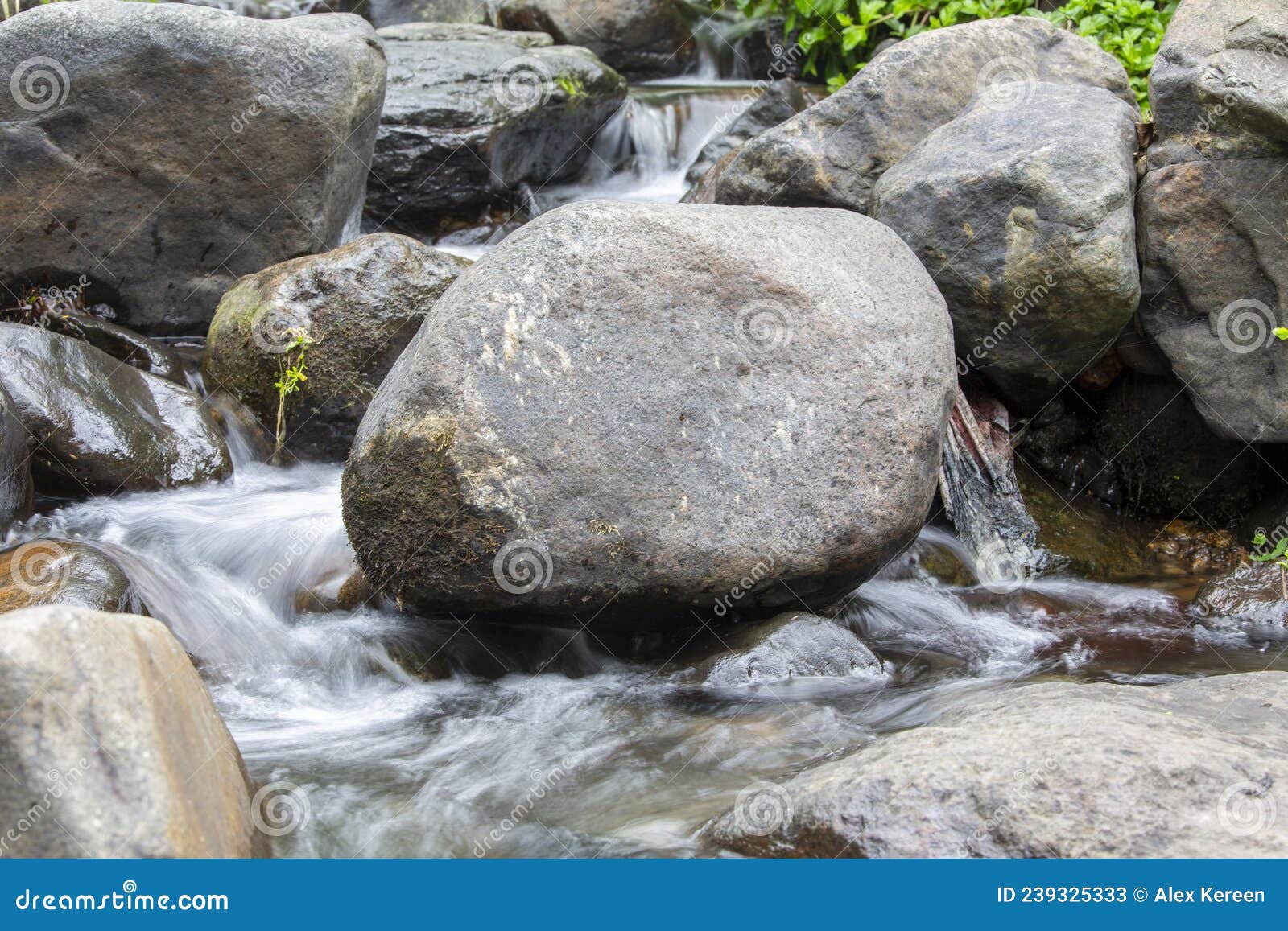 A Collection of River Stones of Various Sizes Standing in an Unspoiled ...