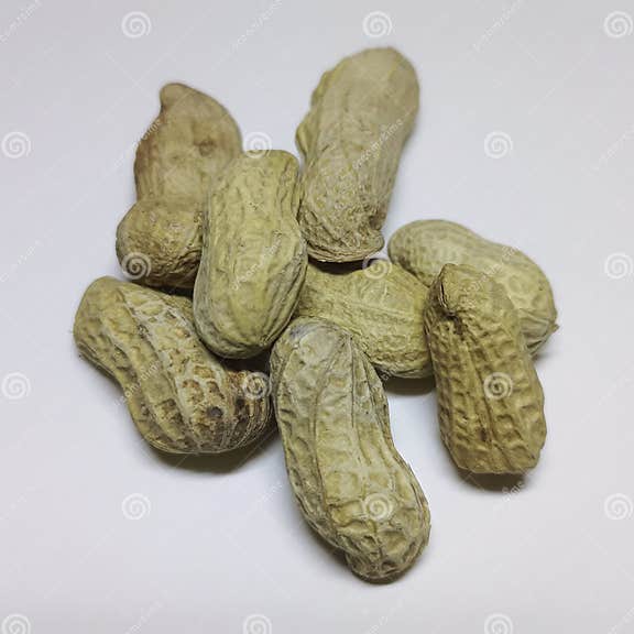 A Collection of Roasted Peanuts on Paper Stock Image - Image of peanuts ...