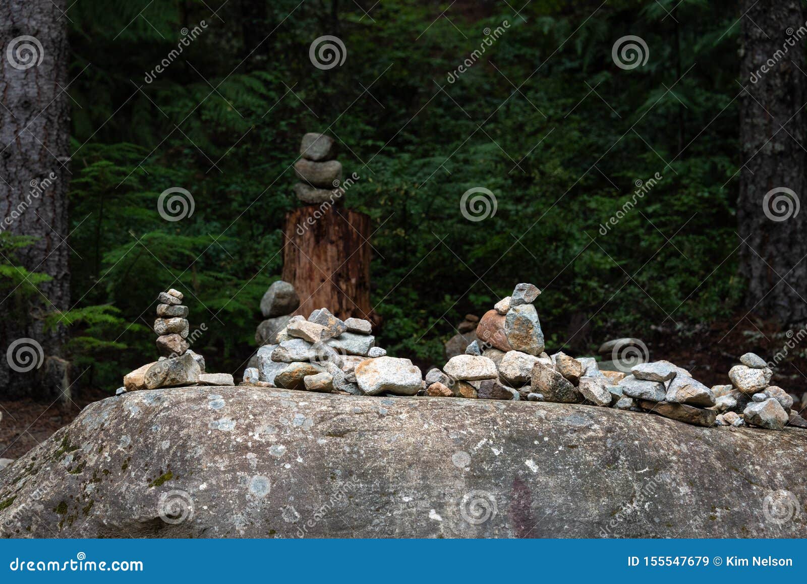 1,399 Stacked Rock Forest Stock Photos - Free & Royalty-Free Stock ...
