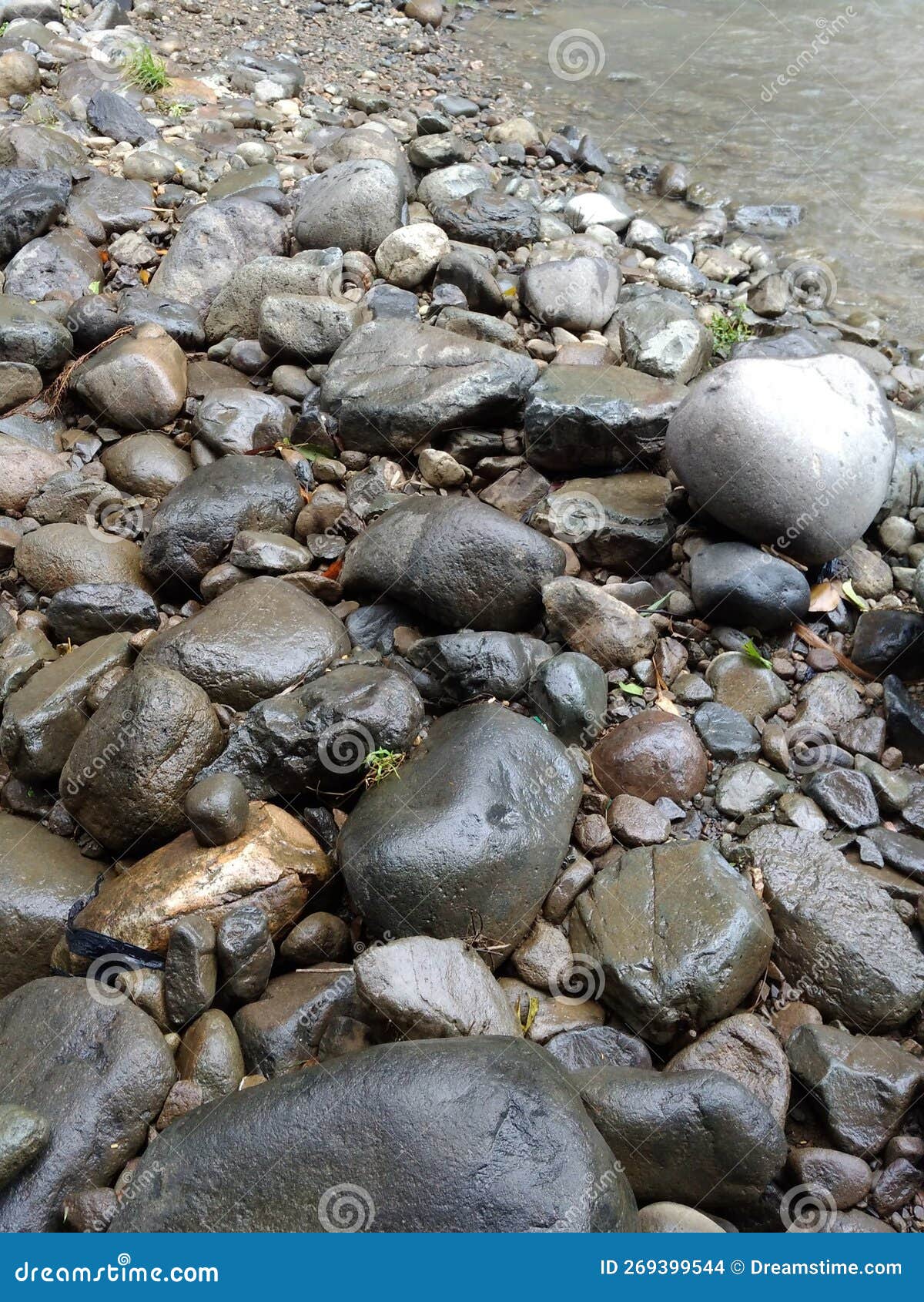 A Collection of Rocks on the Edge of the River Looks Natural Stock ...