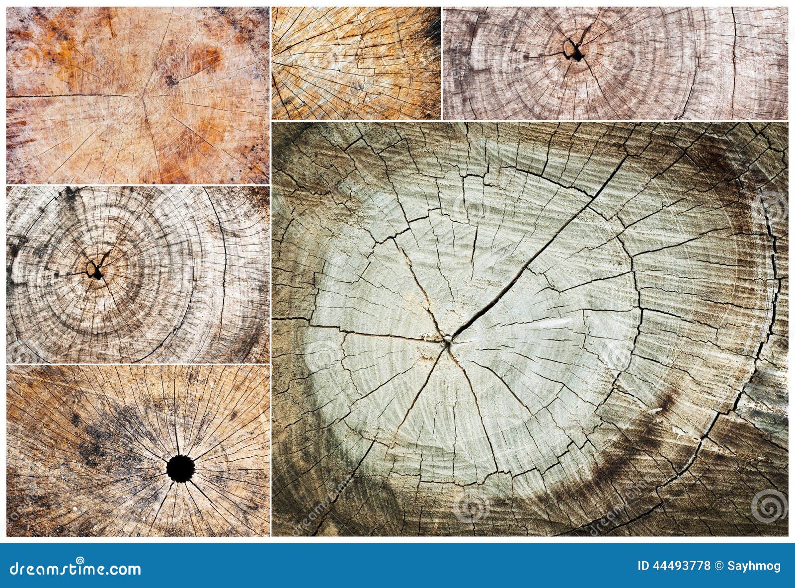 Collection of Rough Wooden Cut Texture and Cracks Pattern Stock Photo ...
