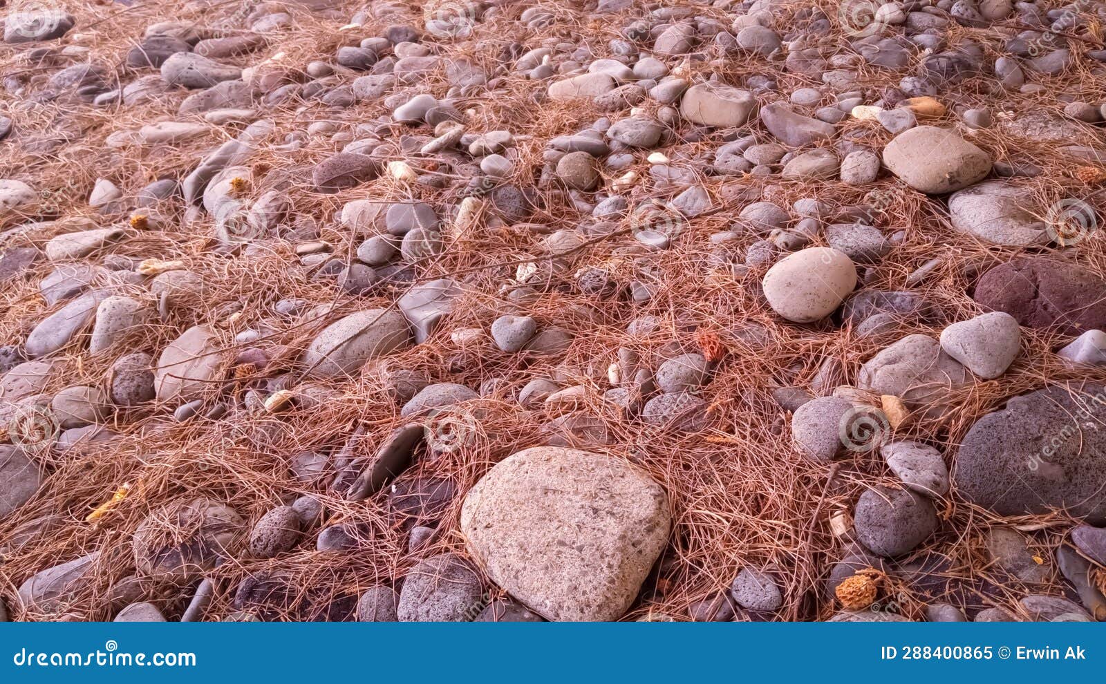 A Group of Rocks on the Beach Stock Image - Image of sand, produce ...
