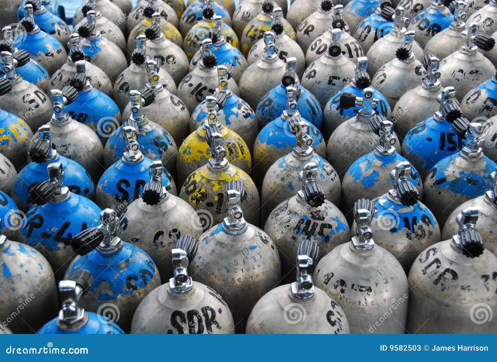 A Collection of Scuba Tanks Stock Image - Image of tanks, scuba: 9582503