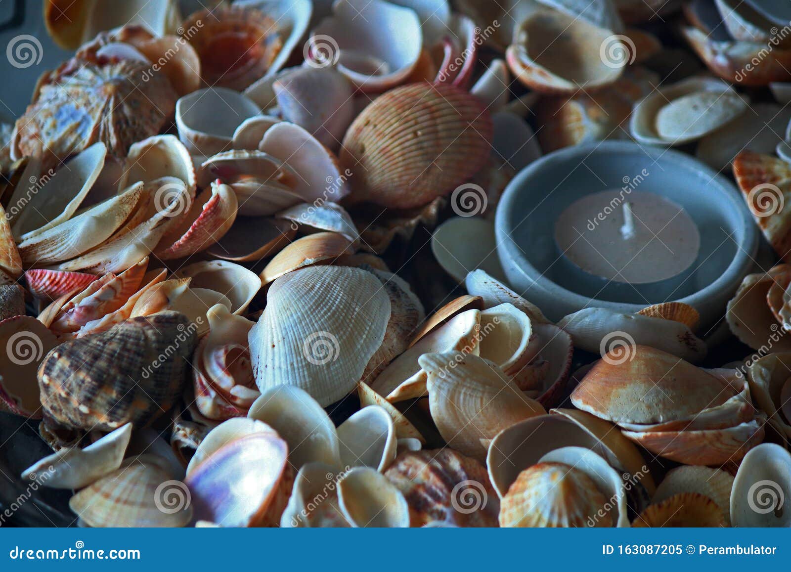 COLLECTION of SEA SHELLS and a CANDLE Stock Image - Image of shells ...