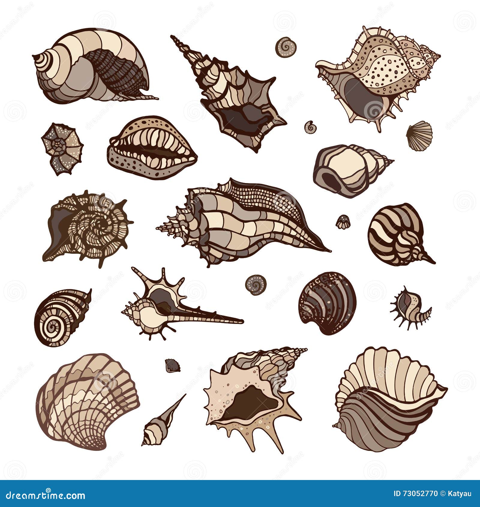 Vector Set Sea Shells Stars Corals And Pearls Different Shapes ...