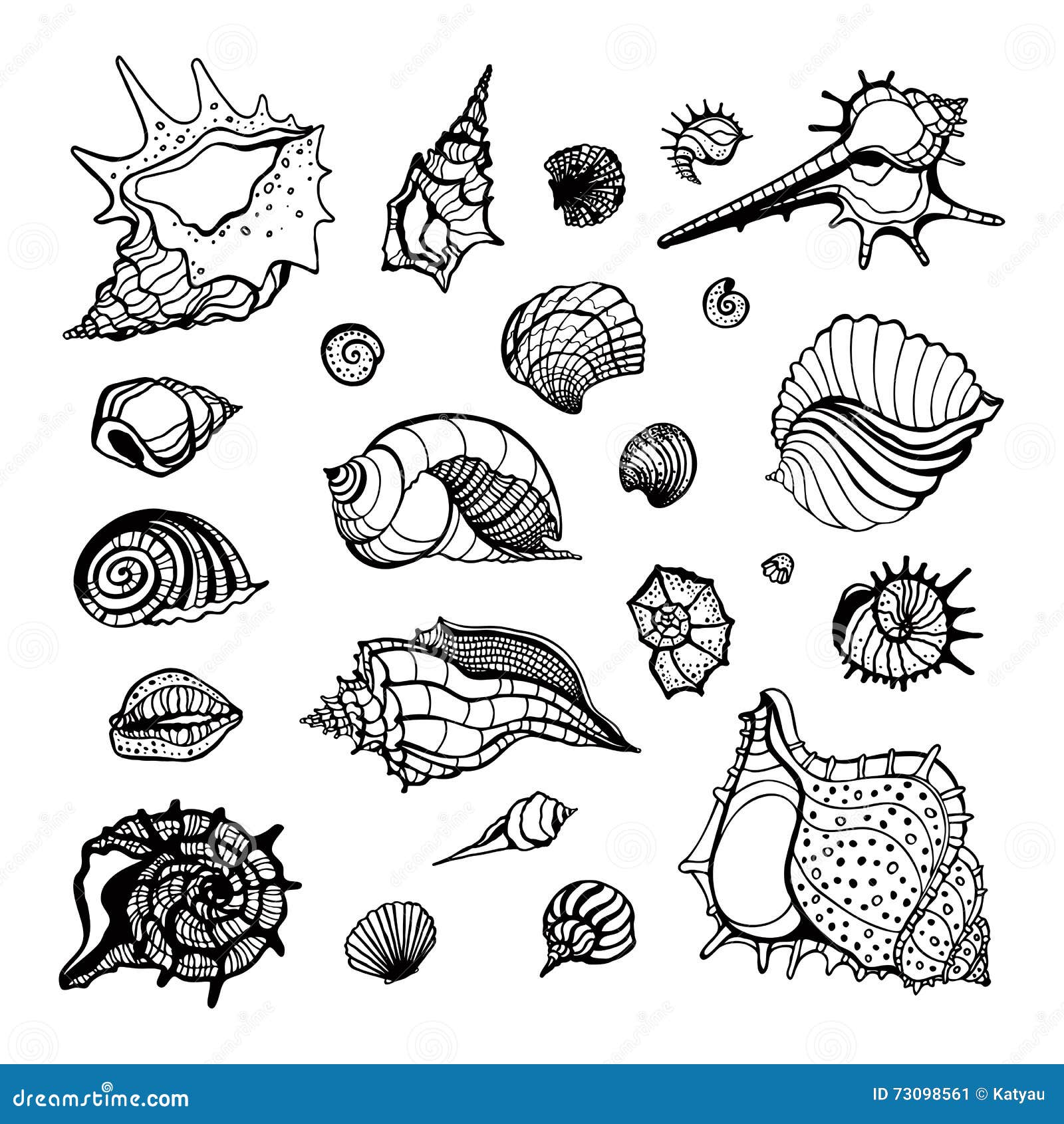 Vector Set Sea Shells And Pearls Different Shapes. Clamshells ...