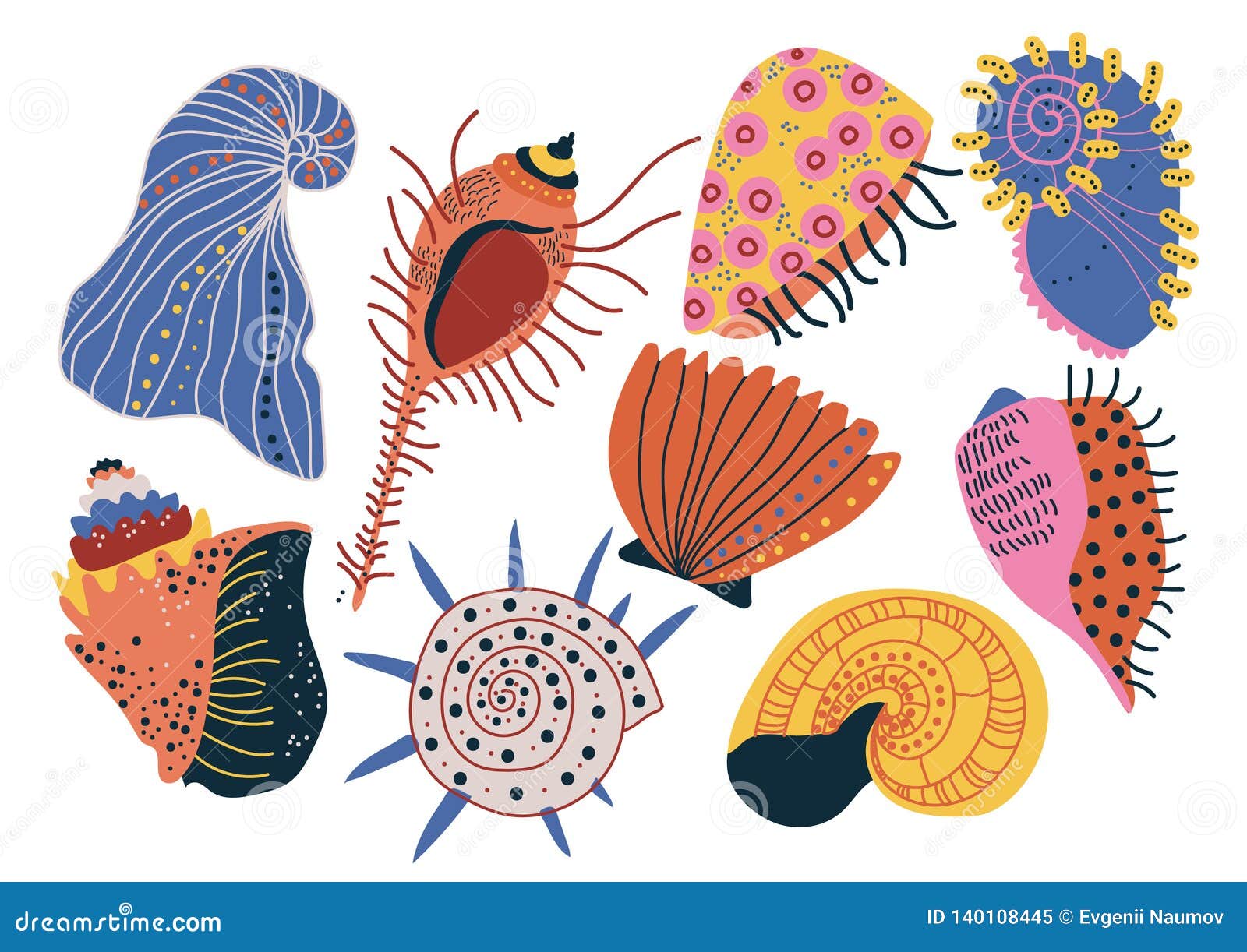 Collection of Seashells, Tropical Underwater Clams, Shells and ...