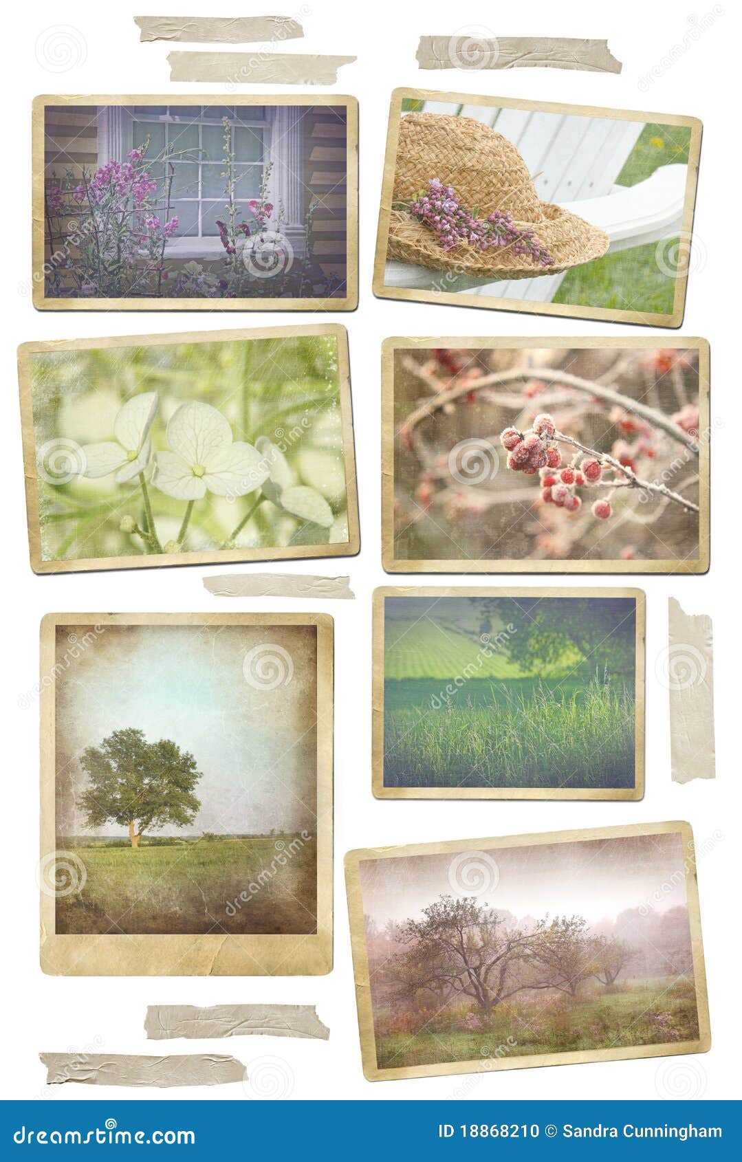 Collection of Seasonal Photos in Vintage Frames Stock Photo - Image of ...