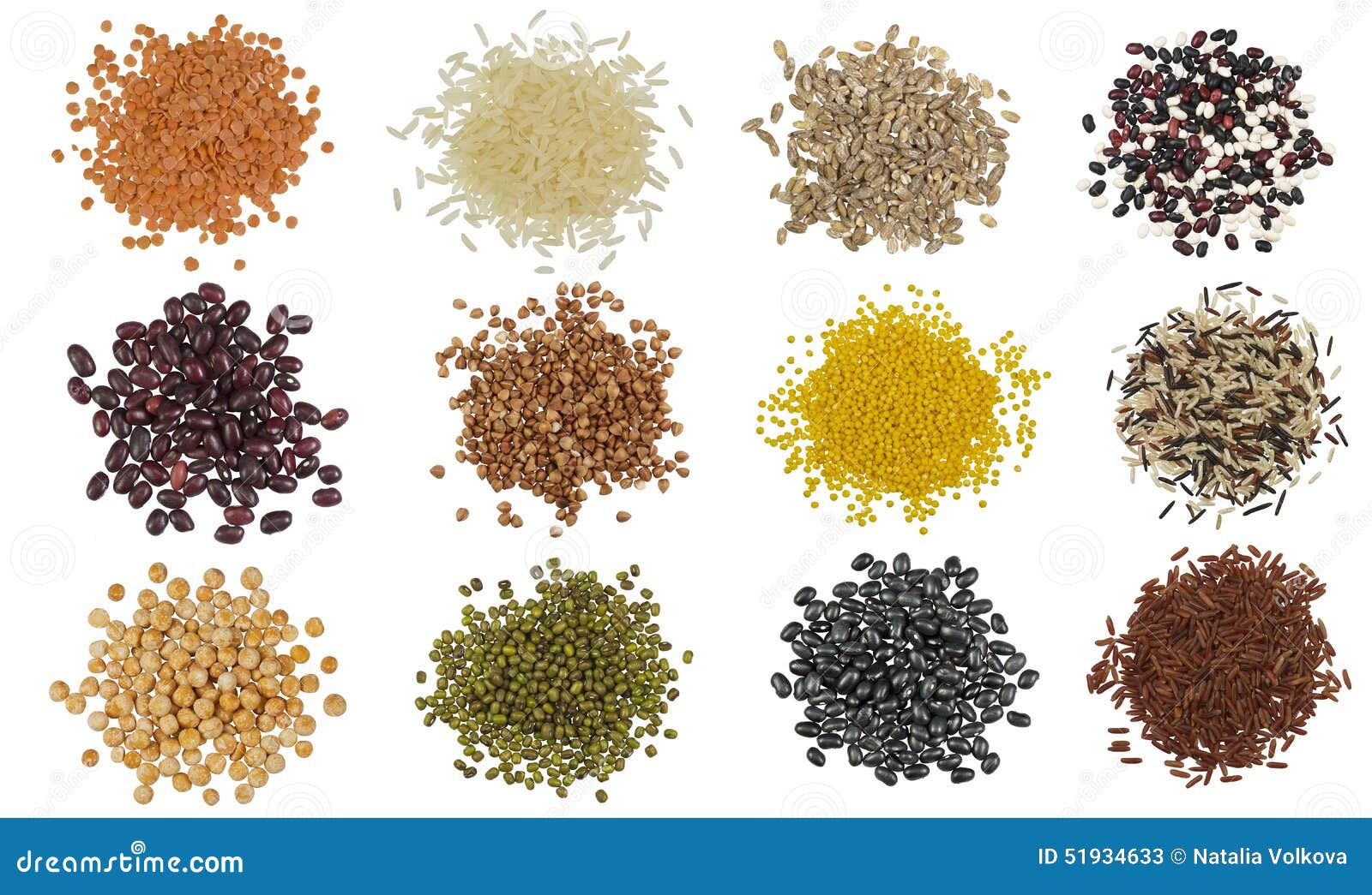 281 Radiata Seeds Photos - Free & Royalty-Free Stock Photos from Dreamstime