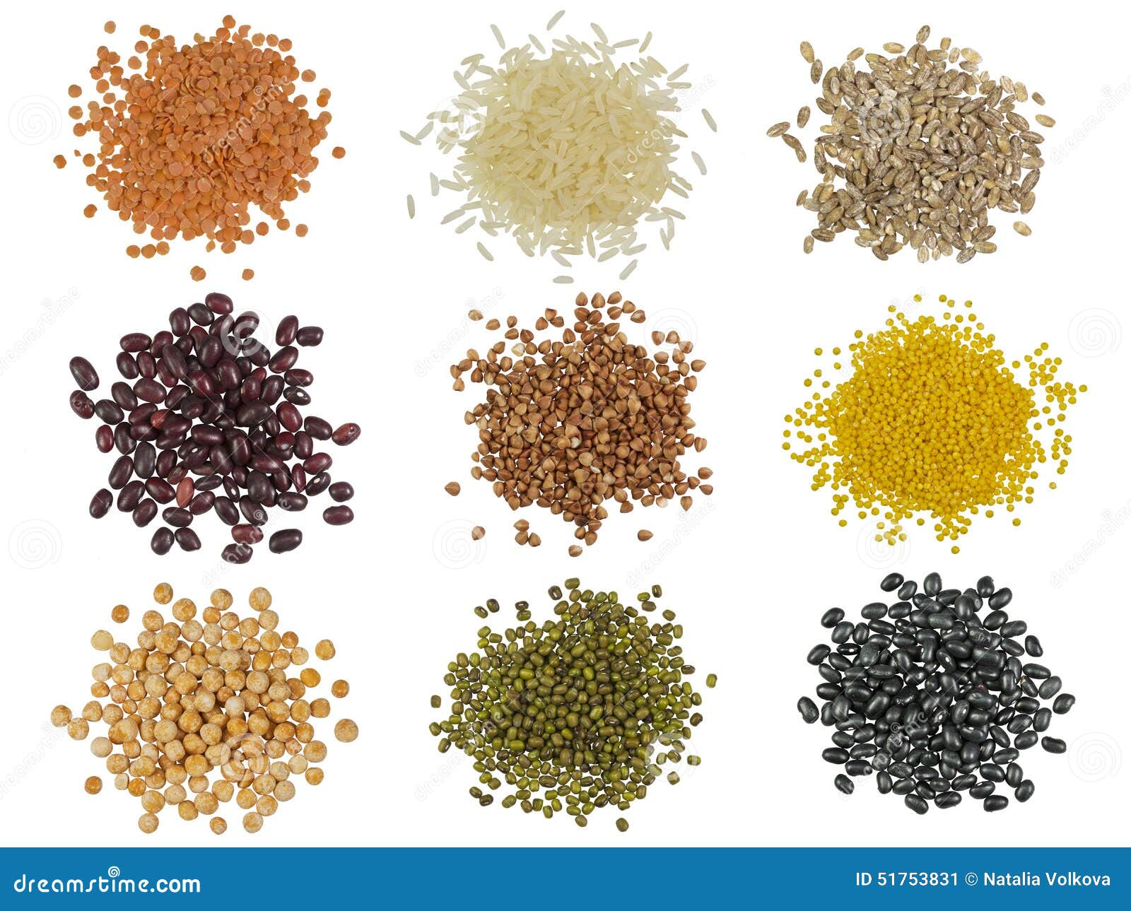 Collection Set of Grains stock image. Image of grain - 51753831