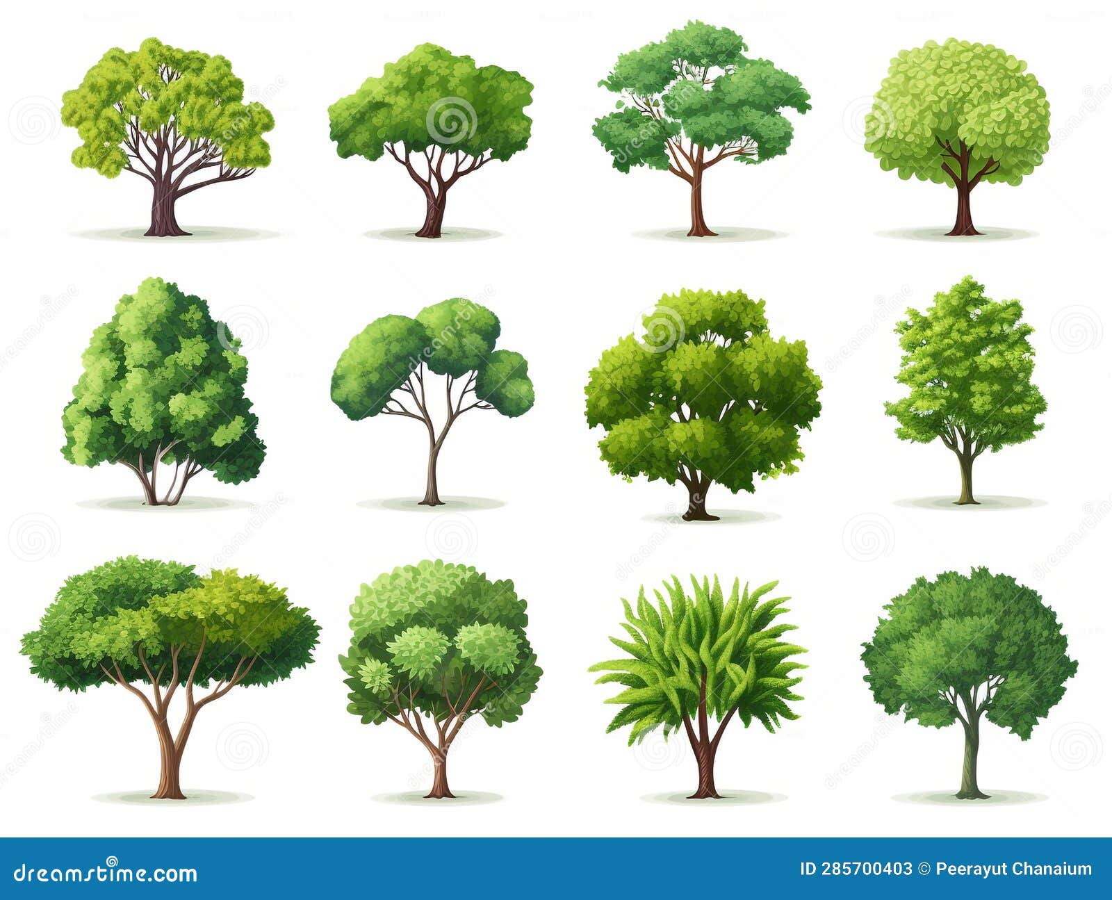 Collection of Twelve Green Trees Isolated on White Background ...