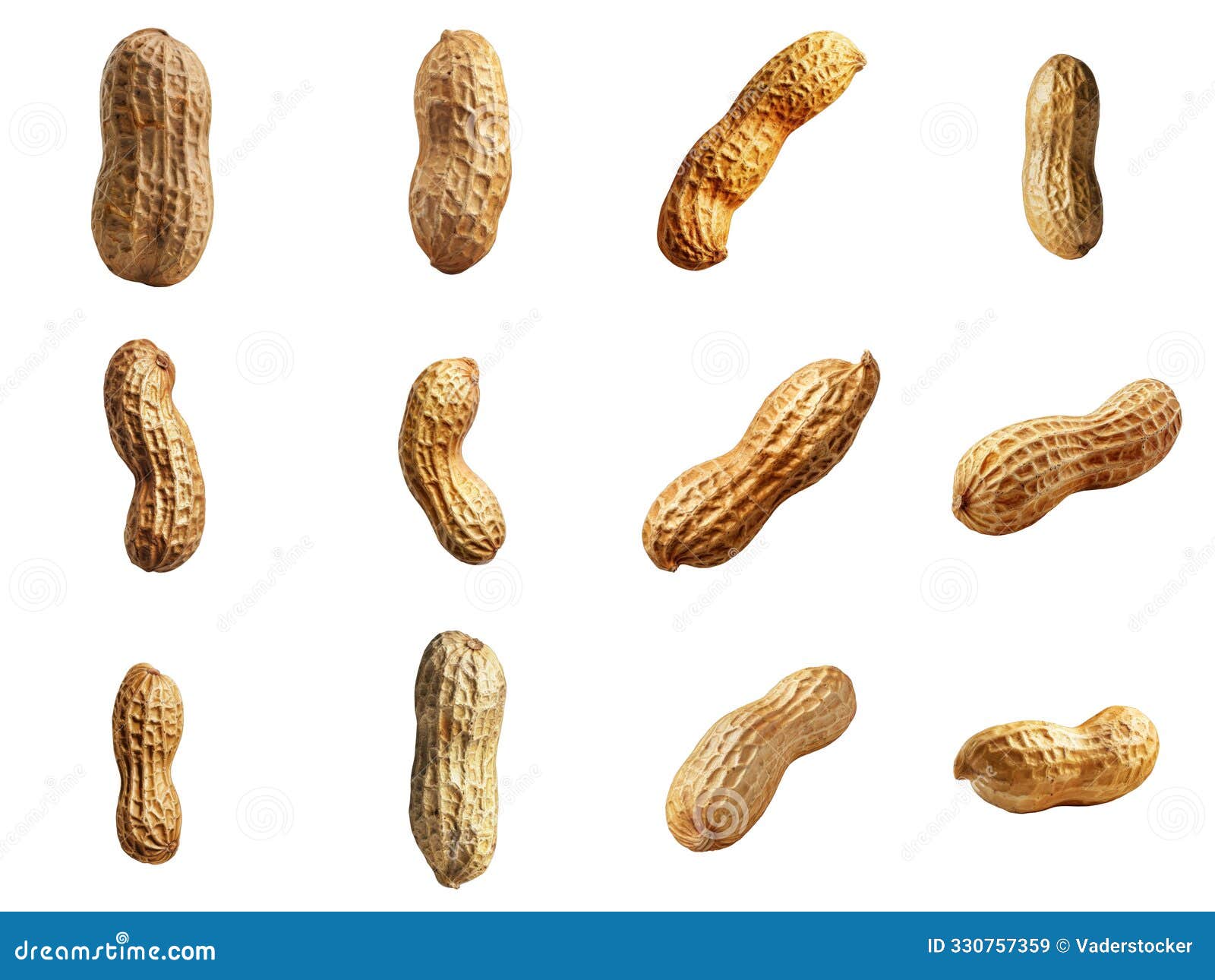 A Collection of Shelled Peanuts in Various Orientations Stock ...