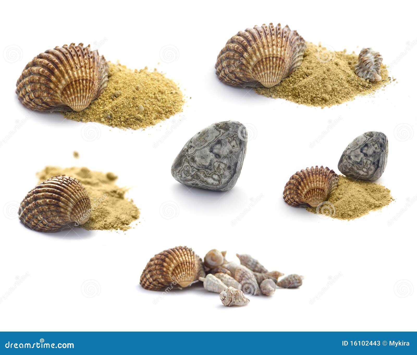 Collection of Shells, Stones and Sand Stock Image - Image of activity ...