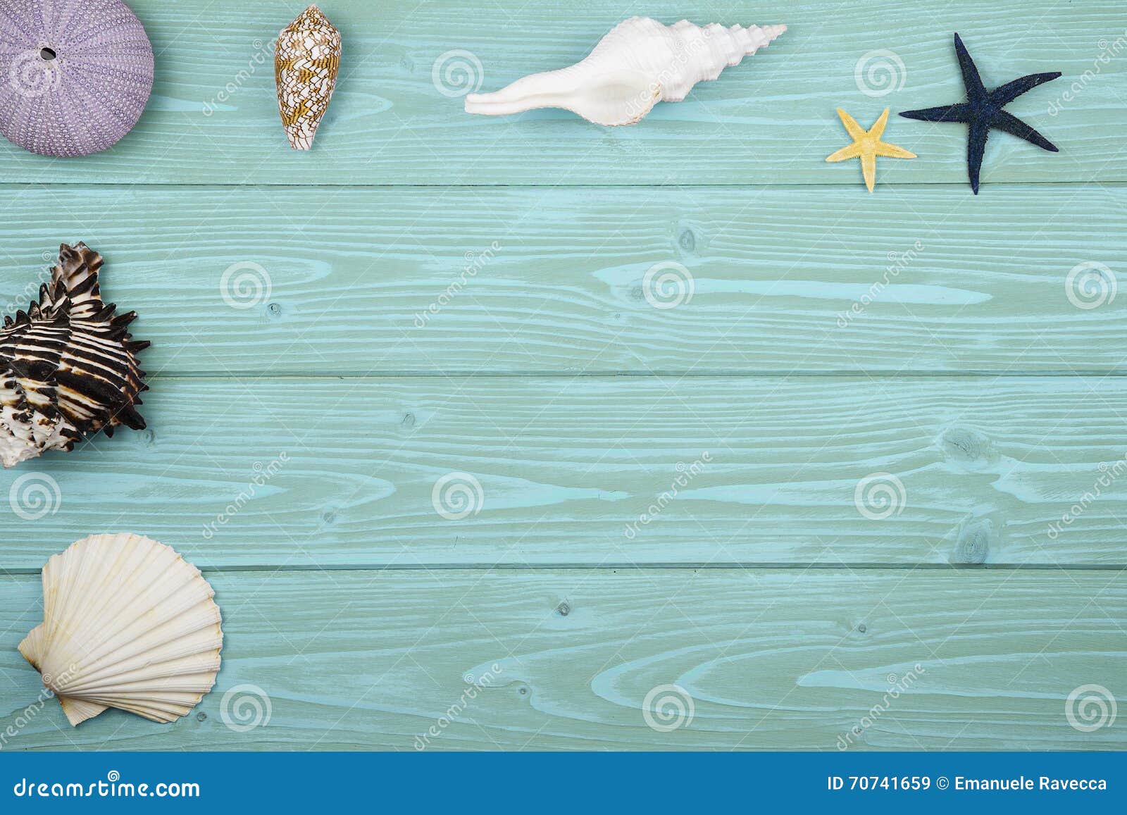 Collection of Shells on Wood Stock Image - Image of light, colorful ...