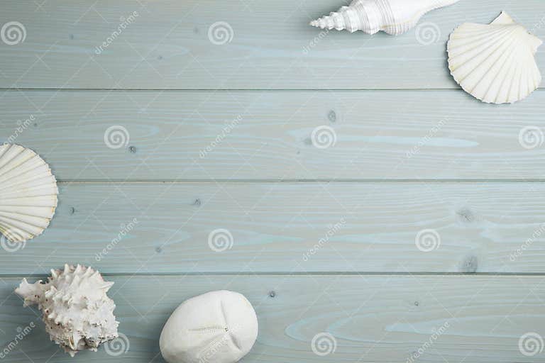 Collection of Shells on Wood Stock Photo - Image of ocean, frame: 70599638