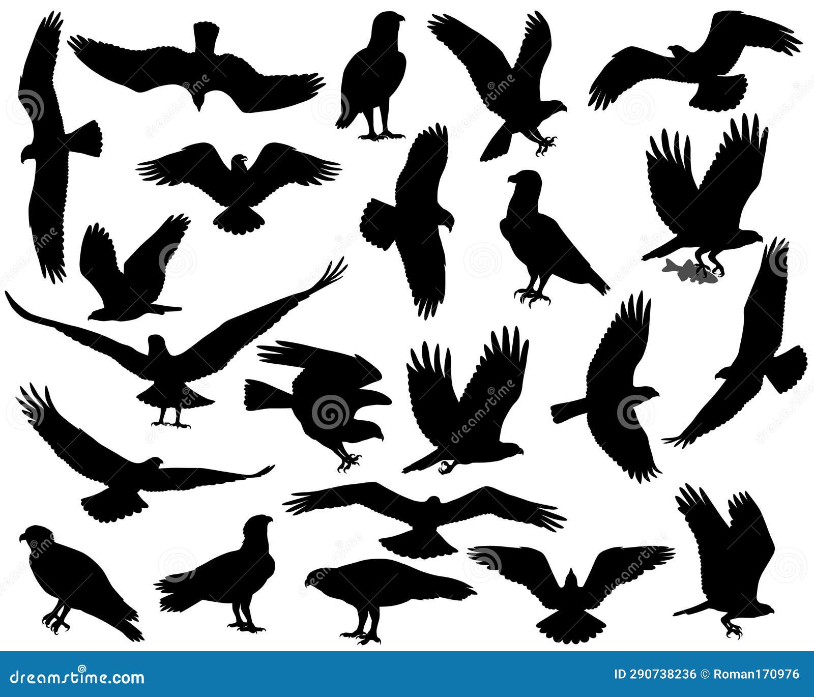 Collection of Silhouettes of Osprey or Fish Hawk Birds Stock Vector ...