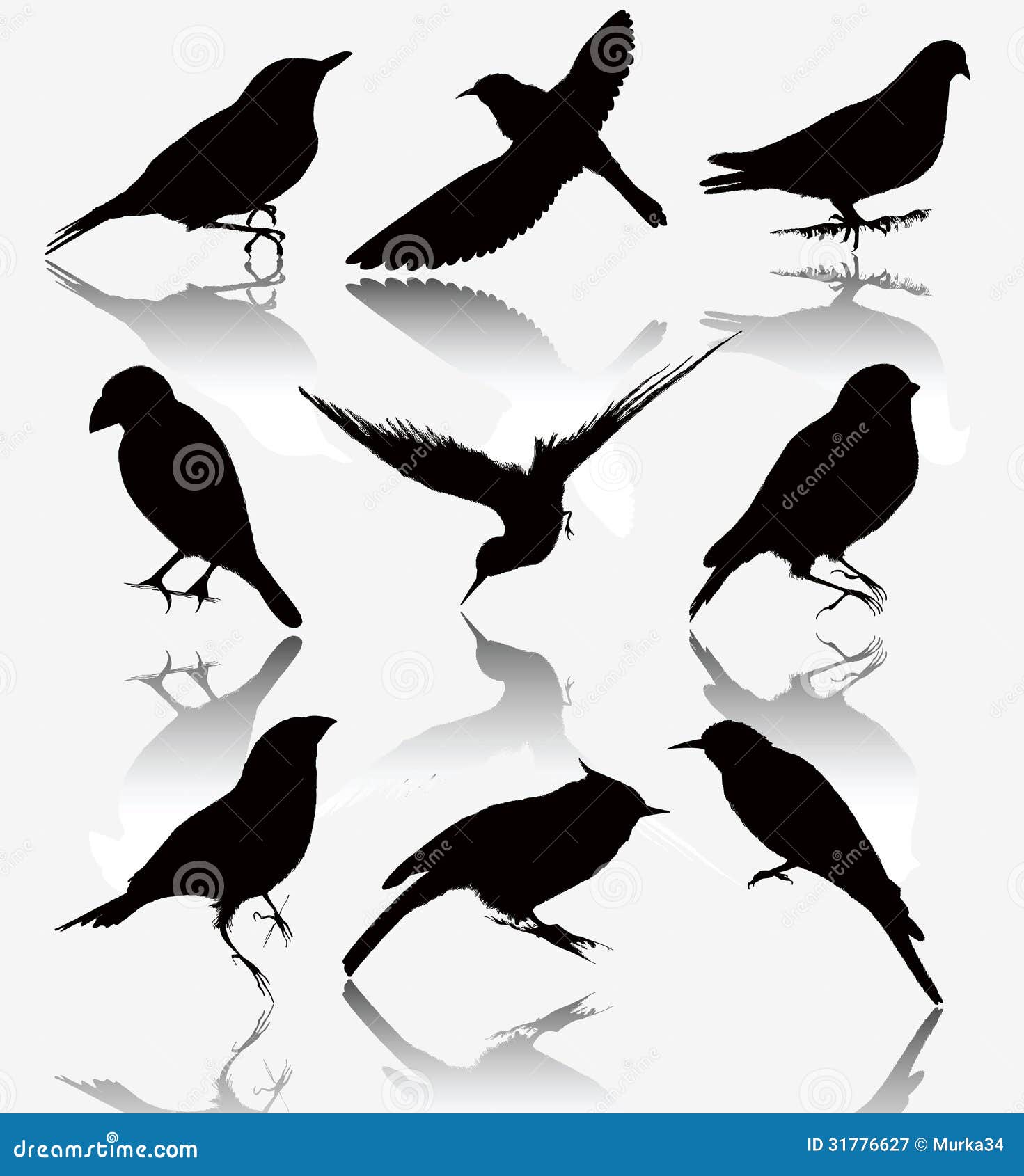 Collection of Silhouettes of Wild Birds, Vector Il Stock Illustration ...