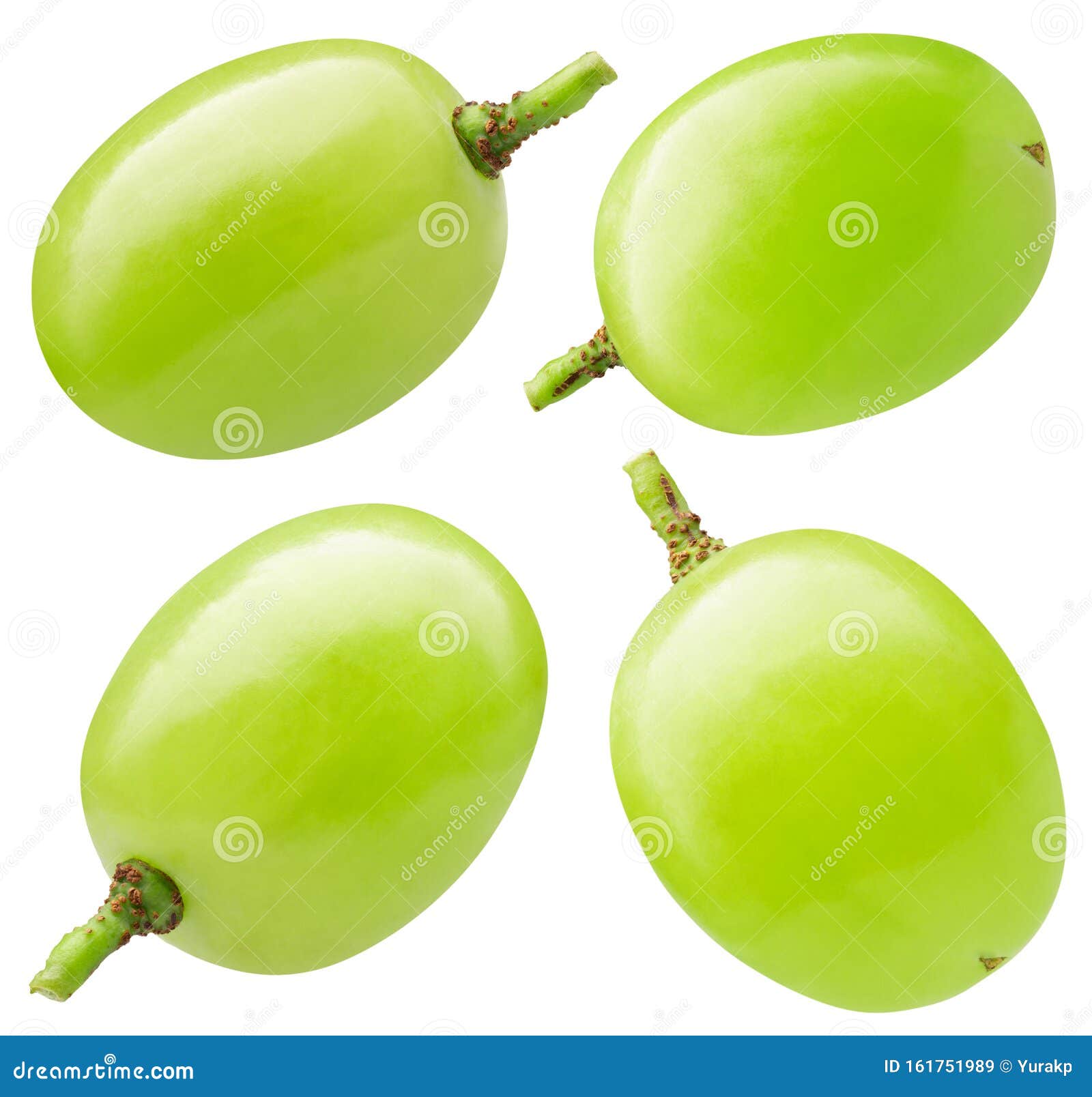 Single Green Grape