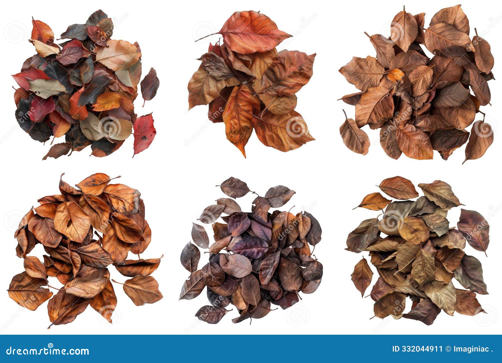A Collection of Six Piles of Dried Autumn Leaves Stock Illustration ...