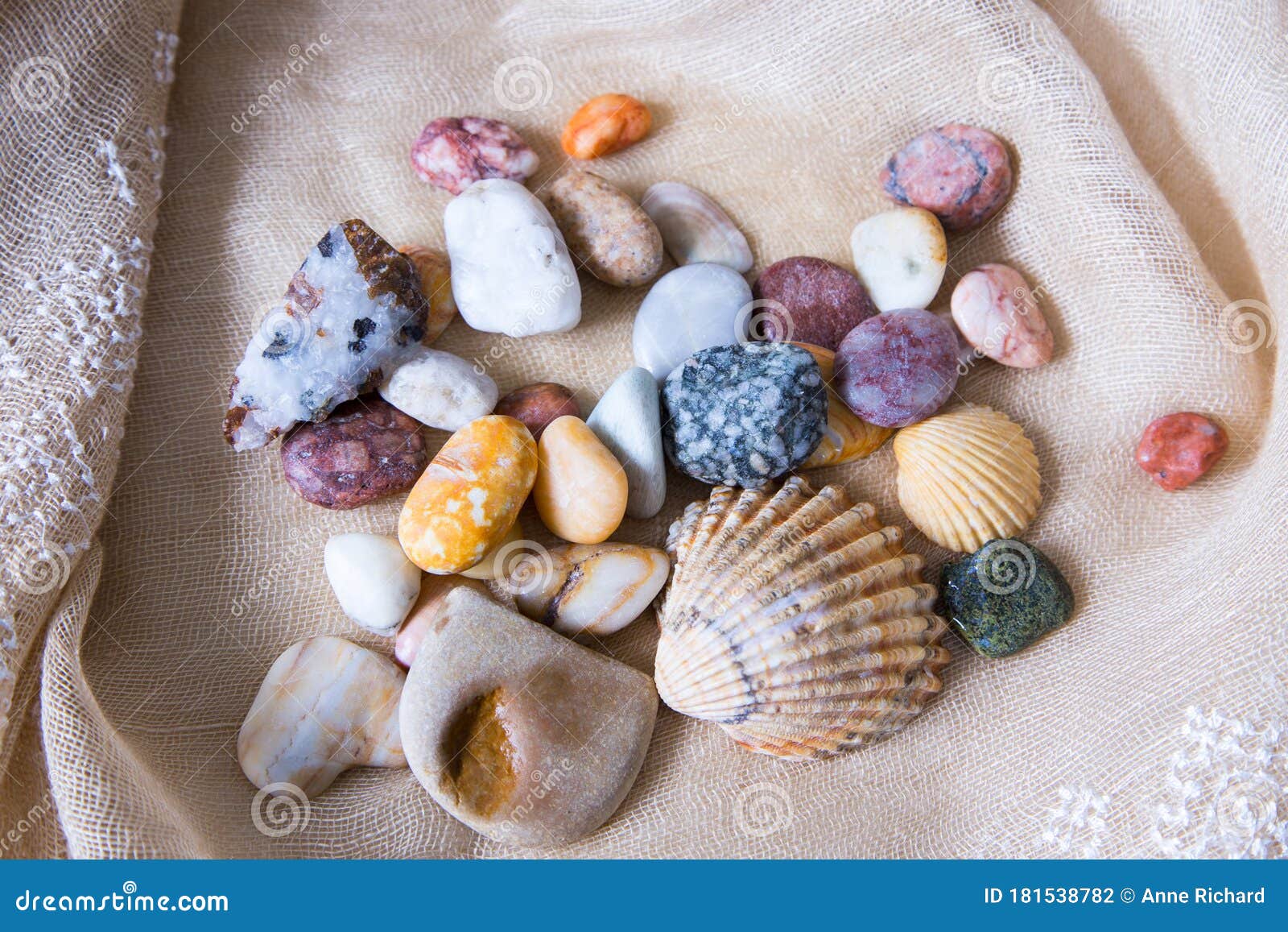 Collection of Small Rocks and Shells in Different Colours and Shapes ...