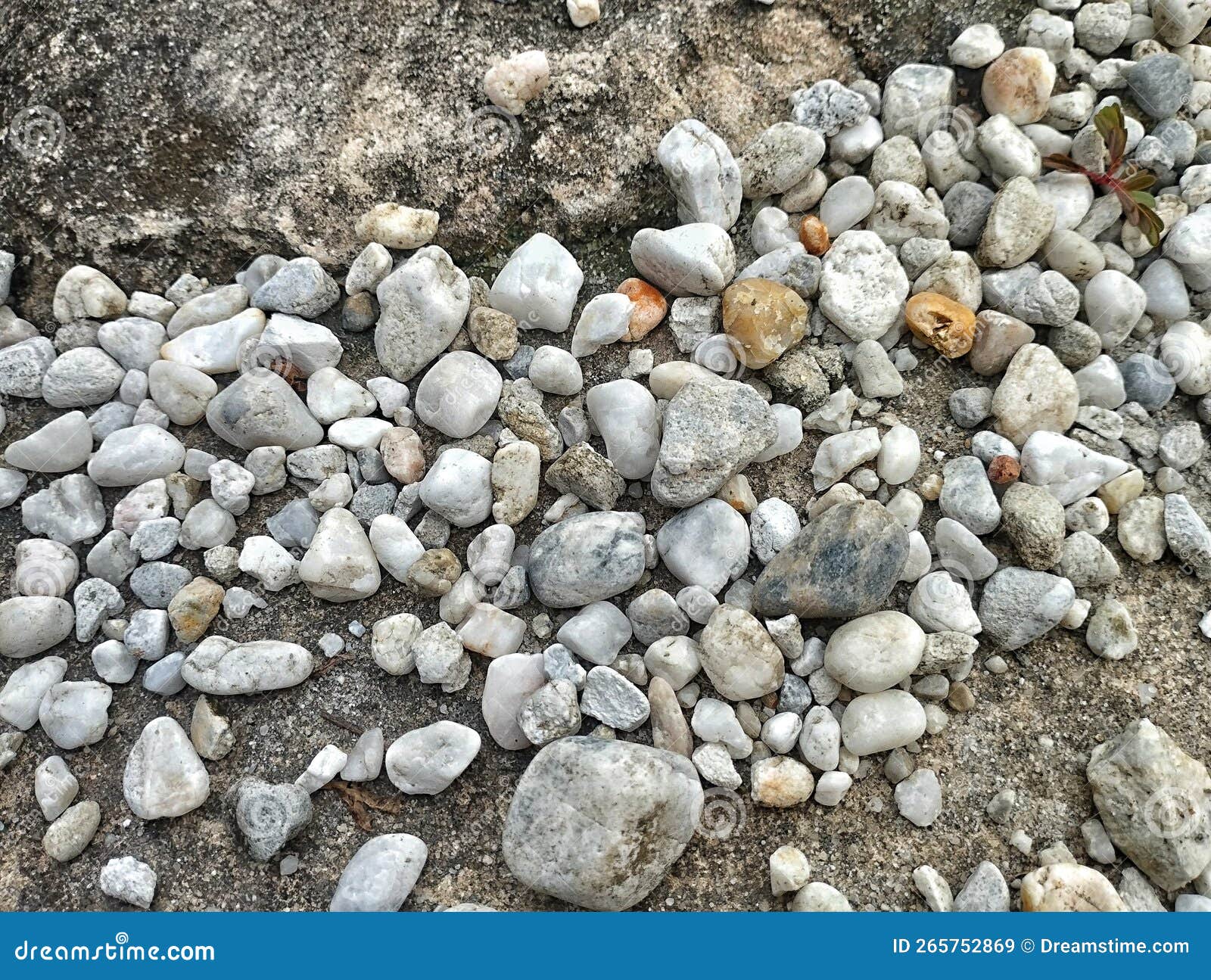 A Collection of Small Stone Fragments Stock Image - Image of small ...