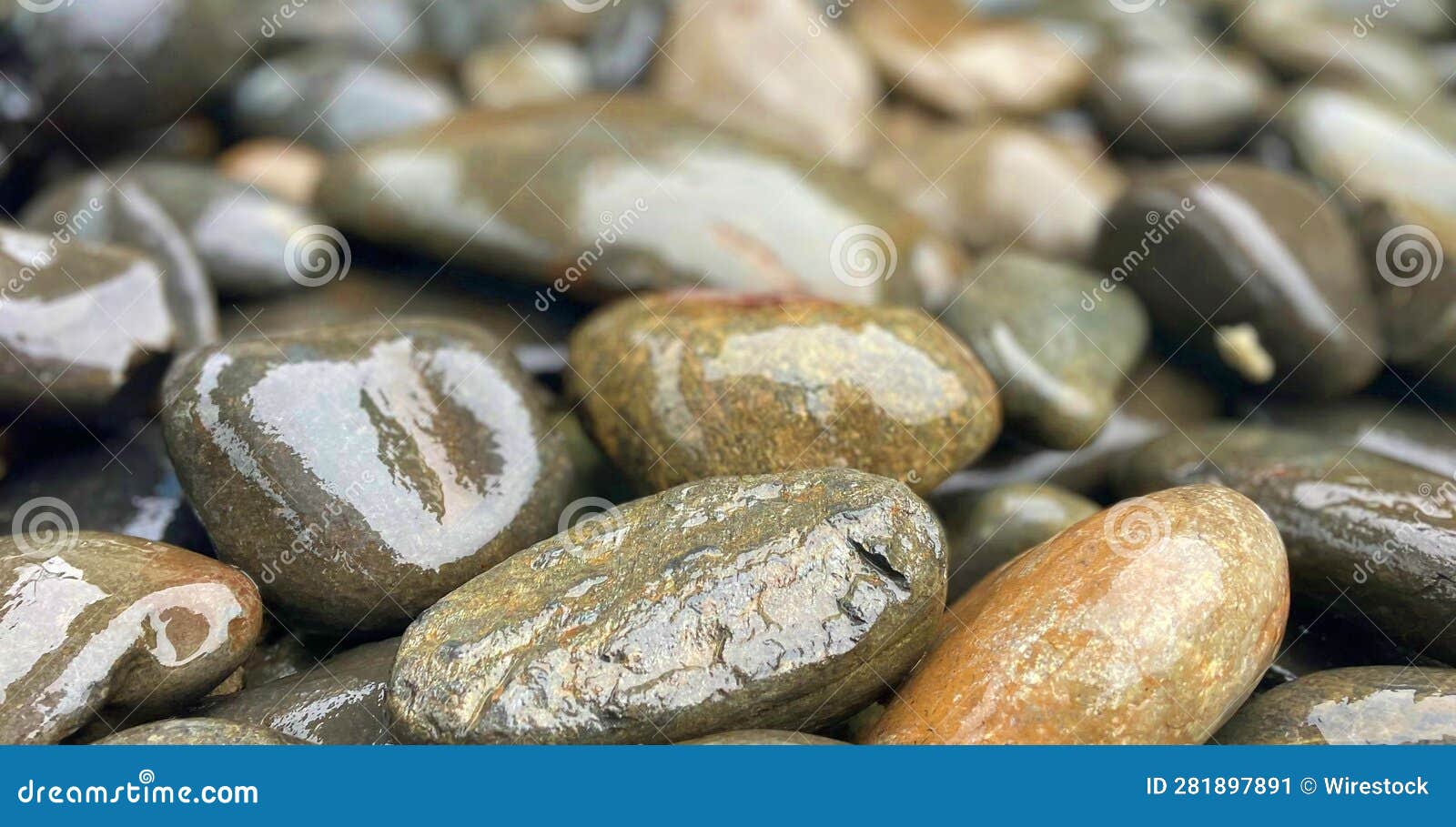 Collection of Smooth Rocks Resting on a Beach Stock Image - Image of ...