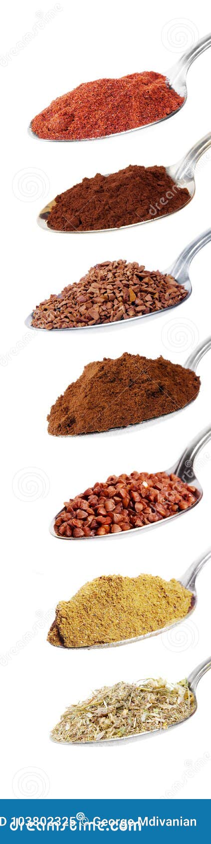 Collection of the Spices and Grains Stock Image - Image of daisy, chili ...
