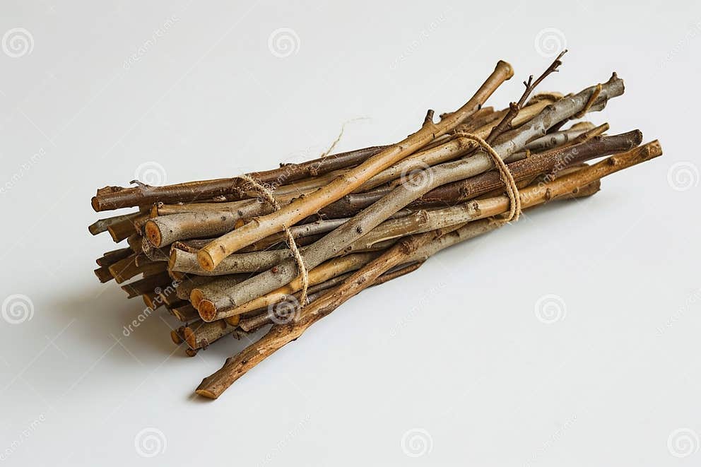 A Collection of Sticks Bound Together on a Plain White Background Stock ...