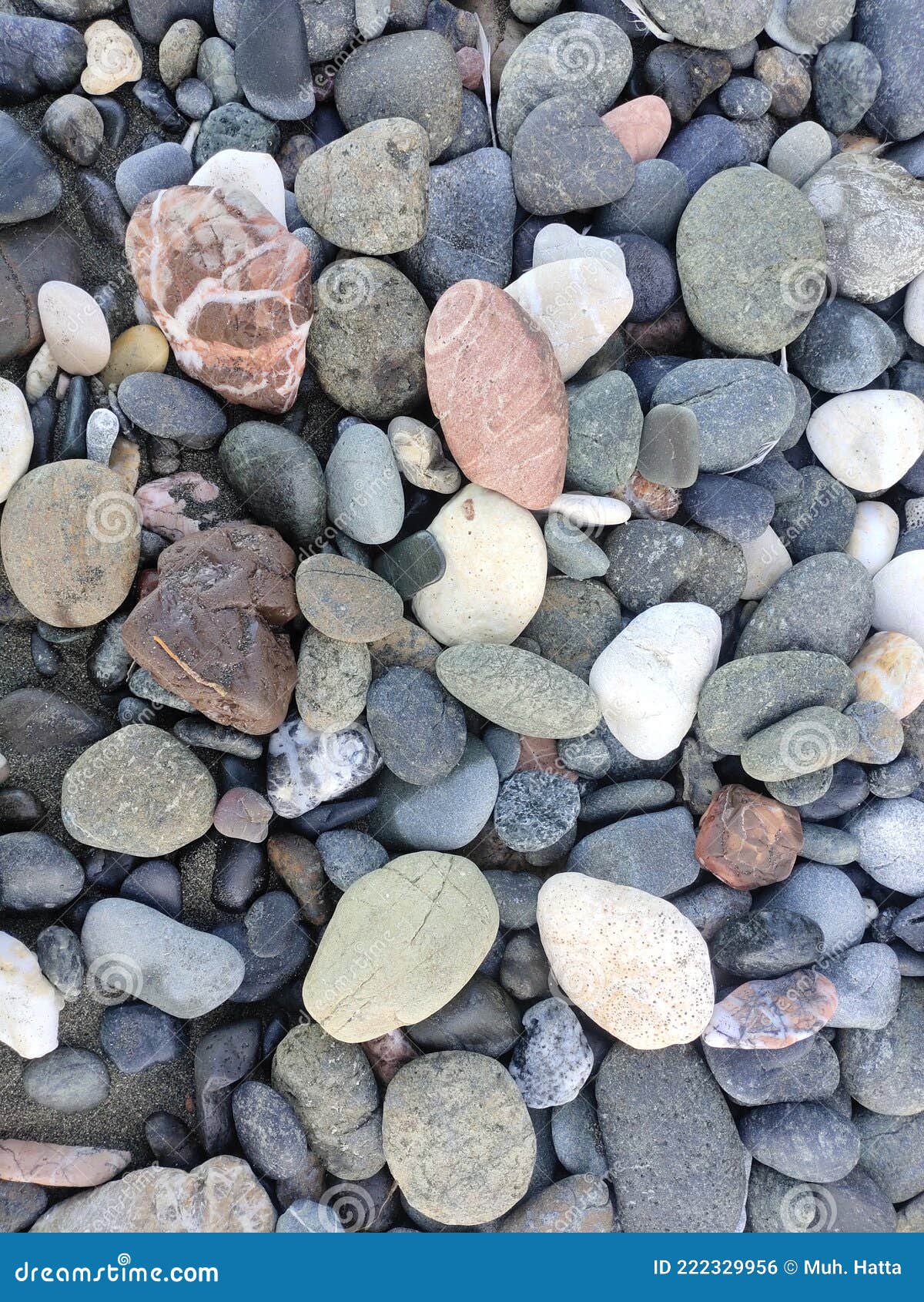 A Collection of Stones on a Beautiful Beach Stock Photo - Image of ...