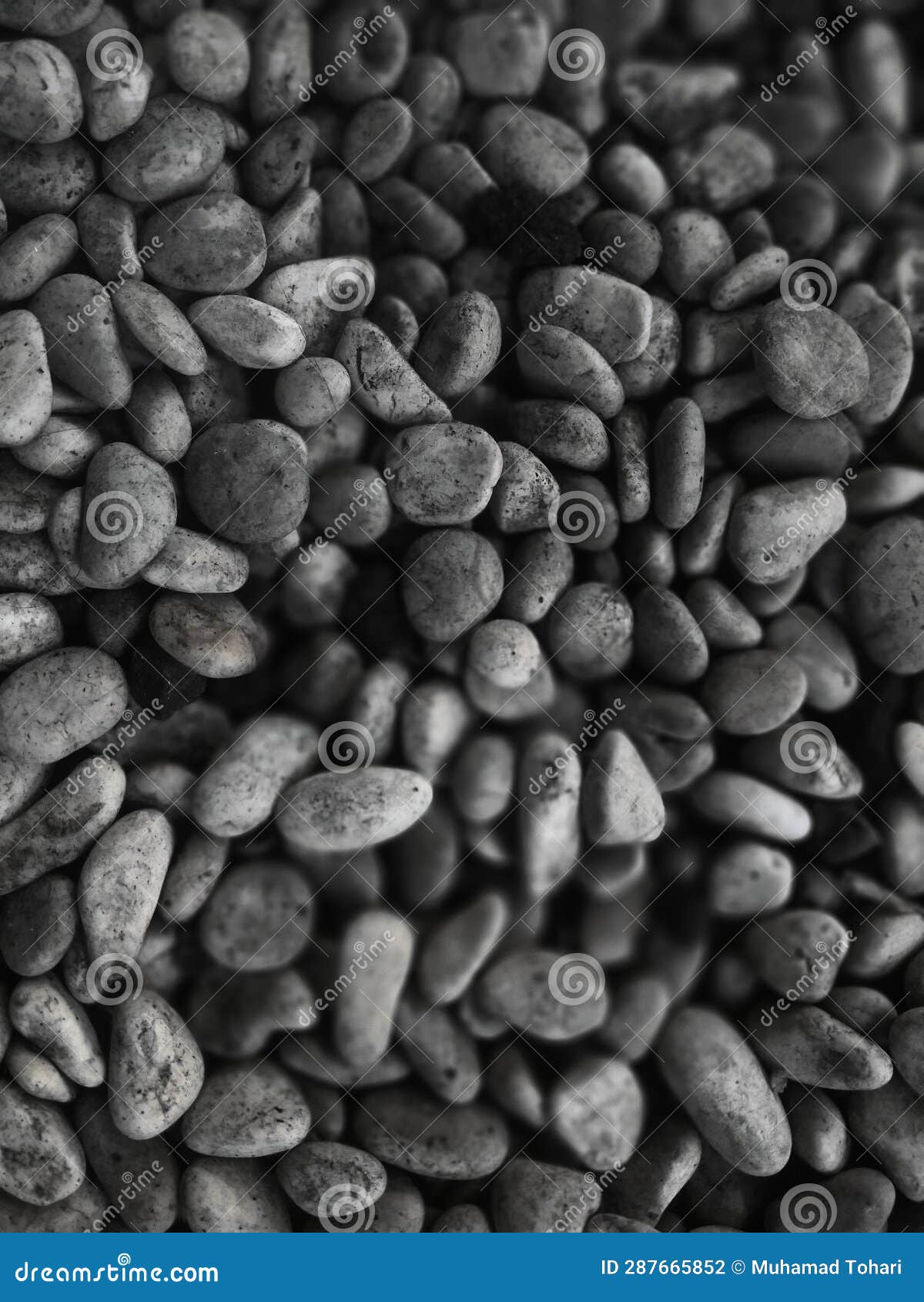 A Collection of Stones in the Garden Stock Photo - Image of theme, rock ...