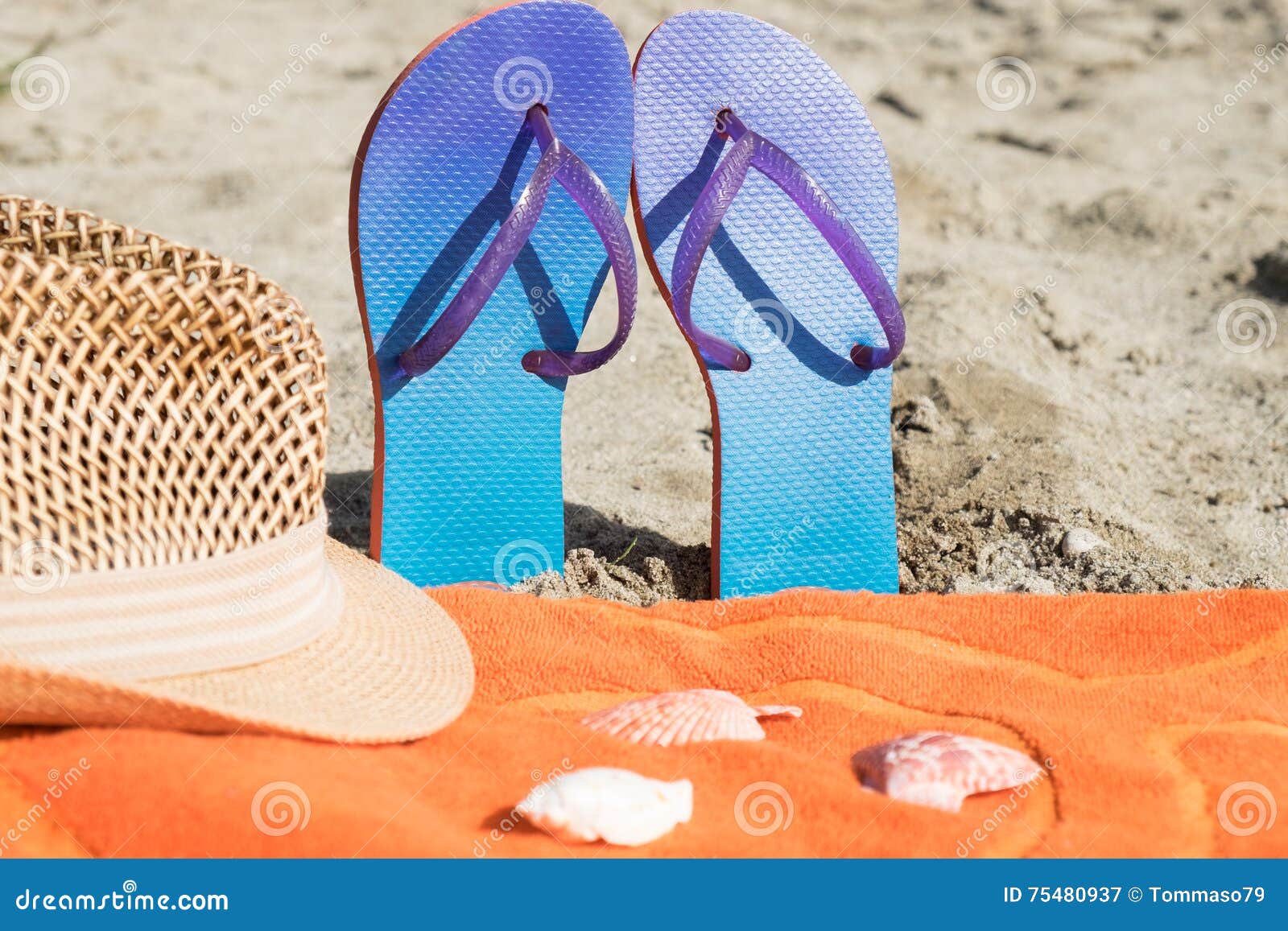 Collection of Summer Beach Objects on the Beach Stock Image - Image of ...