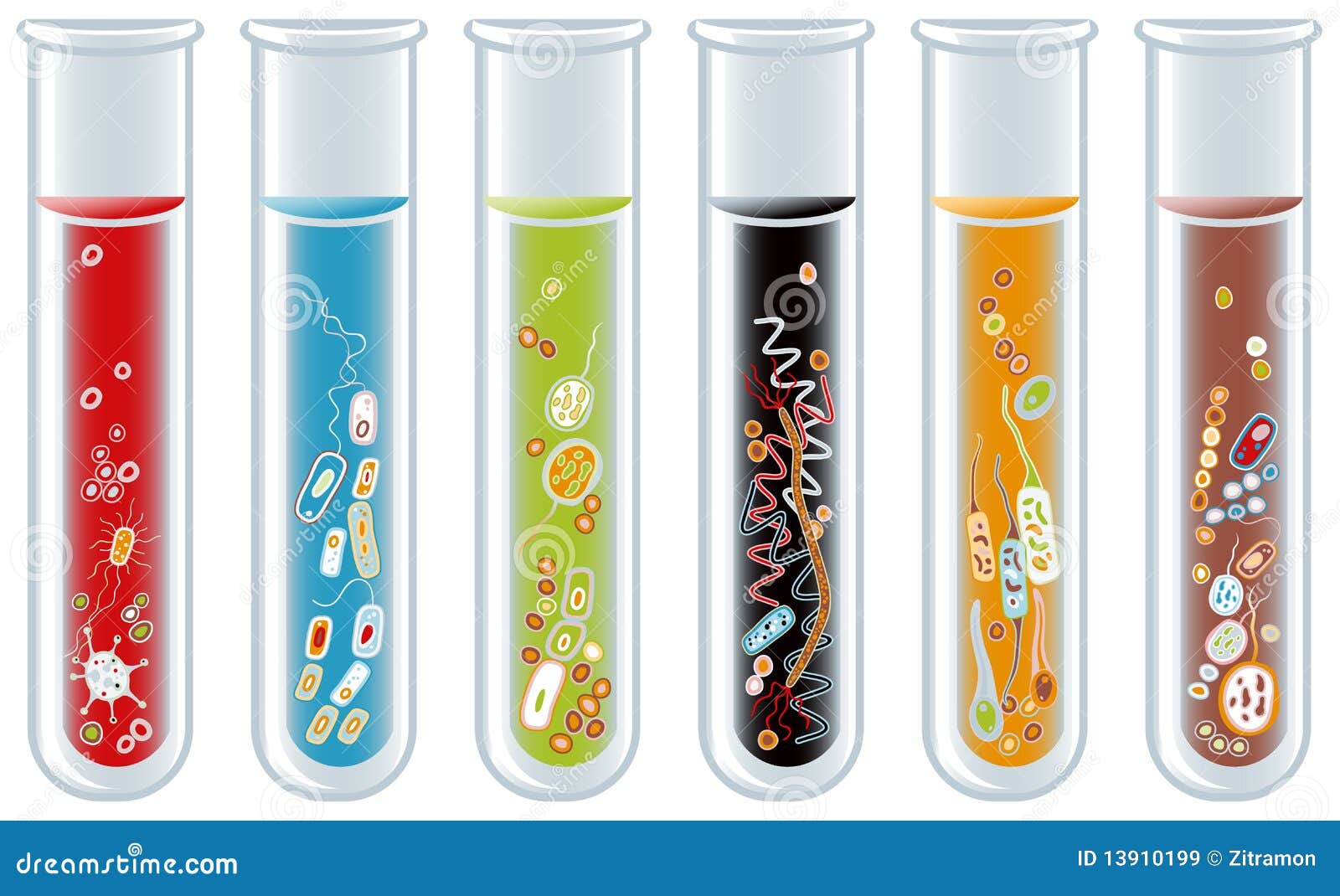Collection of Test Tubes stock vector. Illustration of bacteria - 13910199