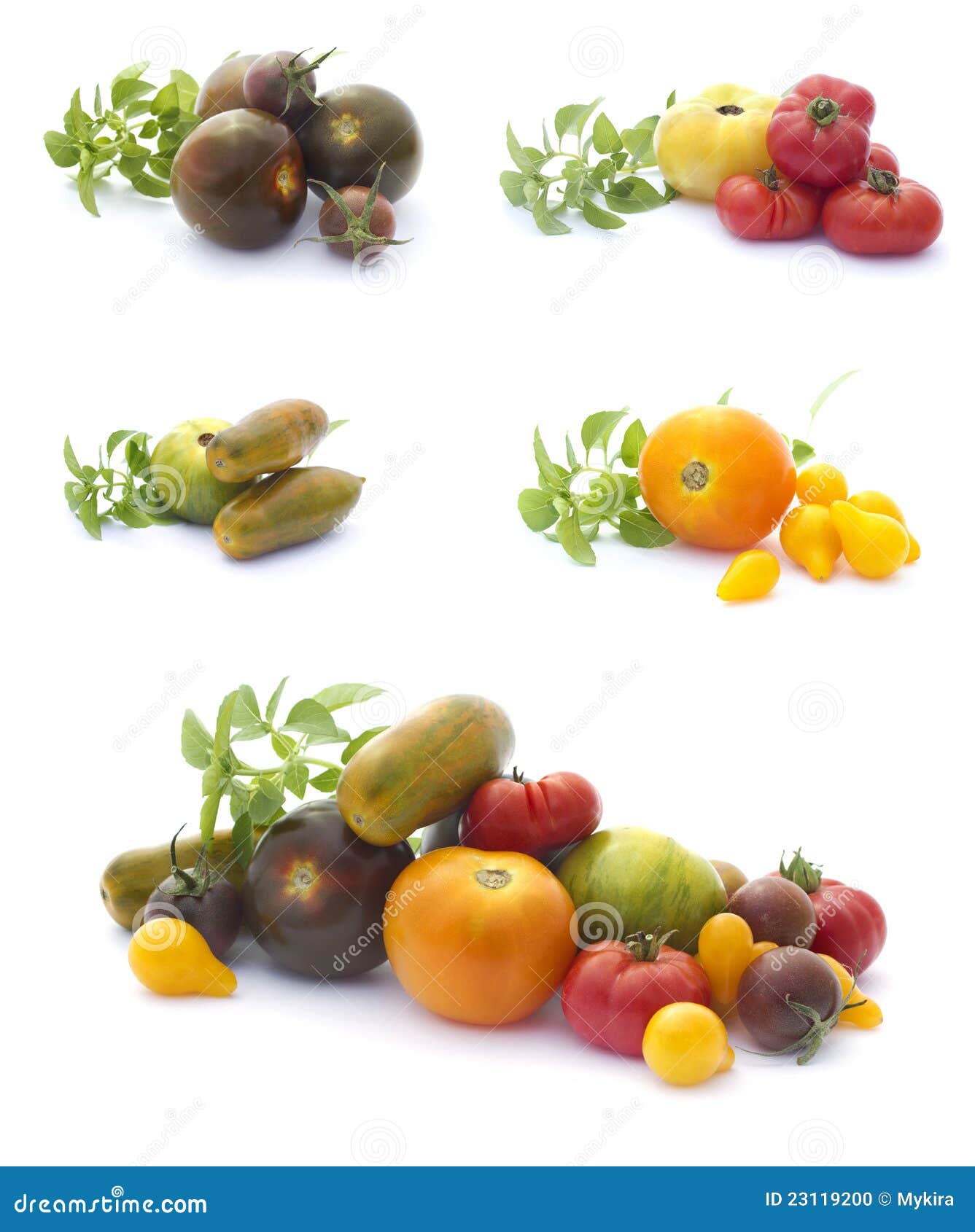 Collection of Tomatoes Isolated on White Stock Photo - Image of diet ...