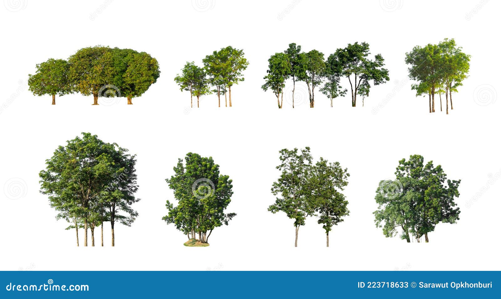 Collection Trees Cut Out from Original Background Stock Image - Image ...