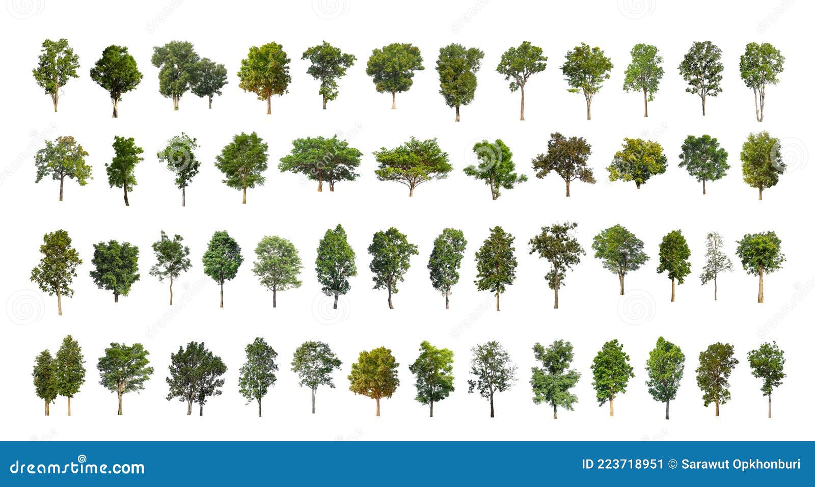 Collection Trees Cut Out from Original Background Stock Image - Image ...