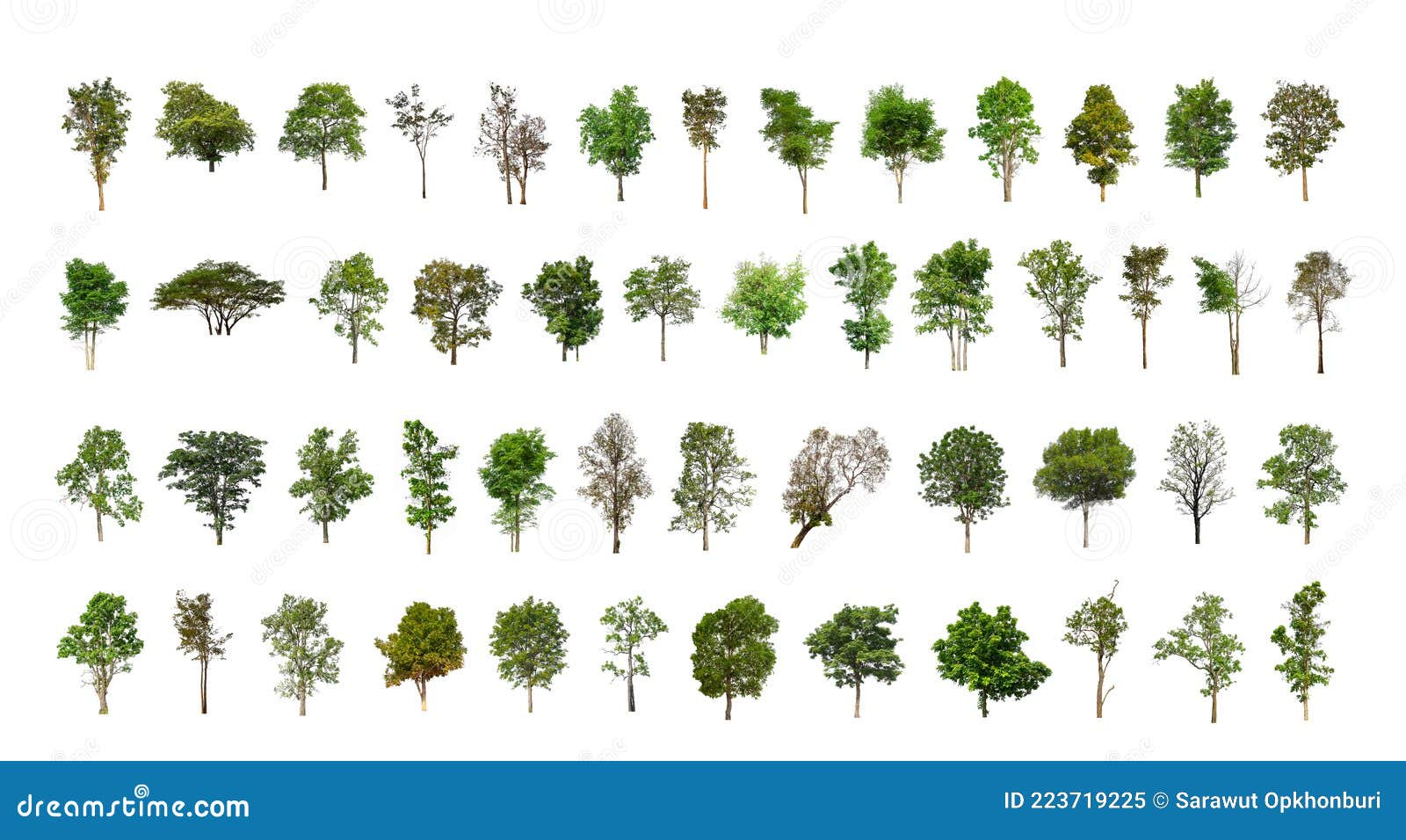 Collection Trees Cut Out from Original Background Stock Image - Image ...
