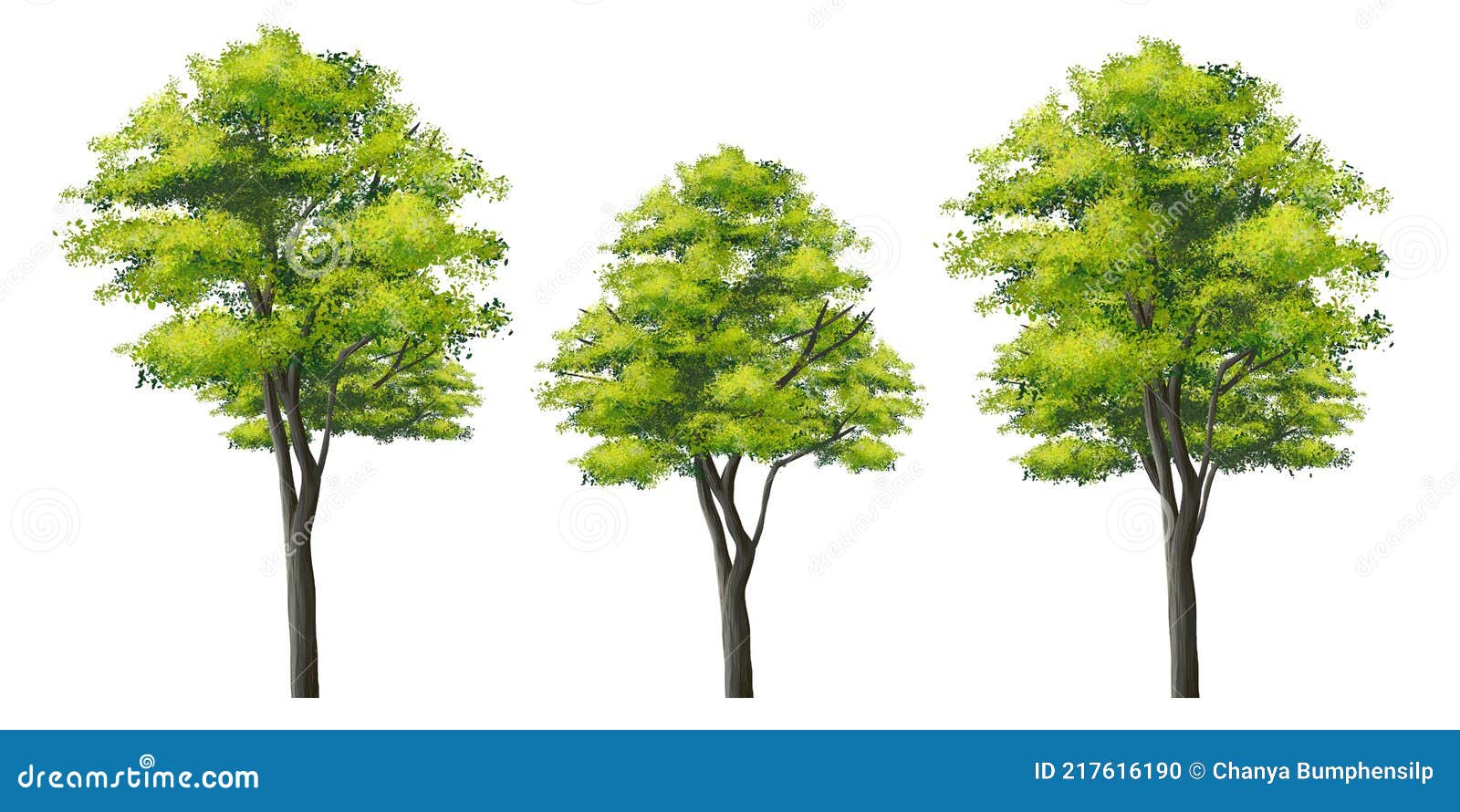 Abstract Green Tree Side View Stock Illustration - Illustration of tree ...