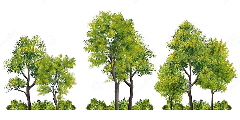 Abstract Green Tree Side View Stock Illustration - Illustration of side ...