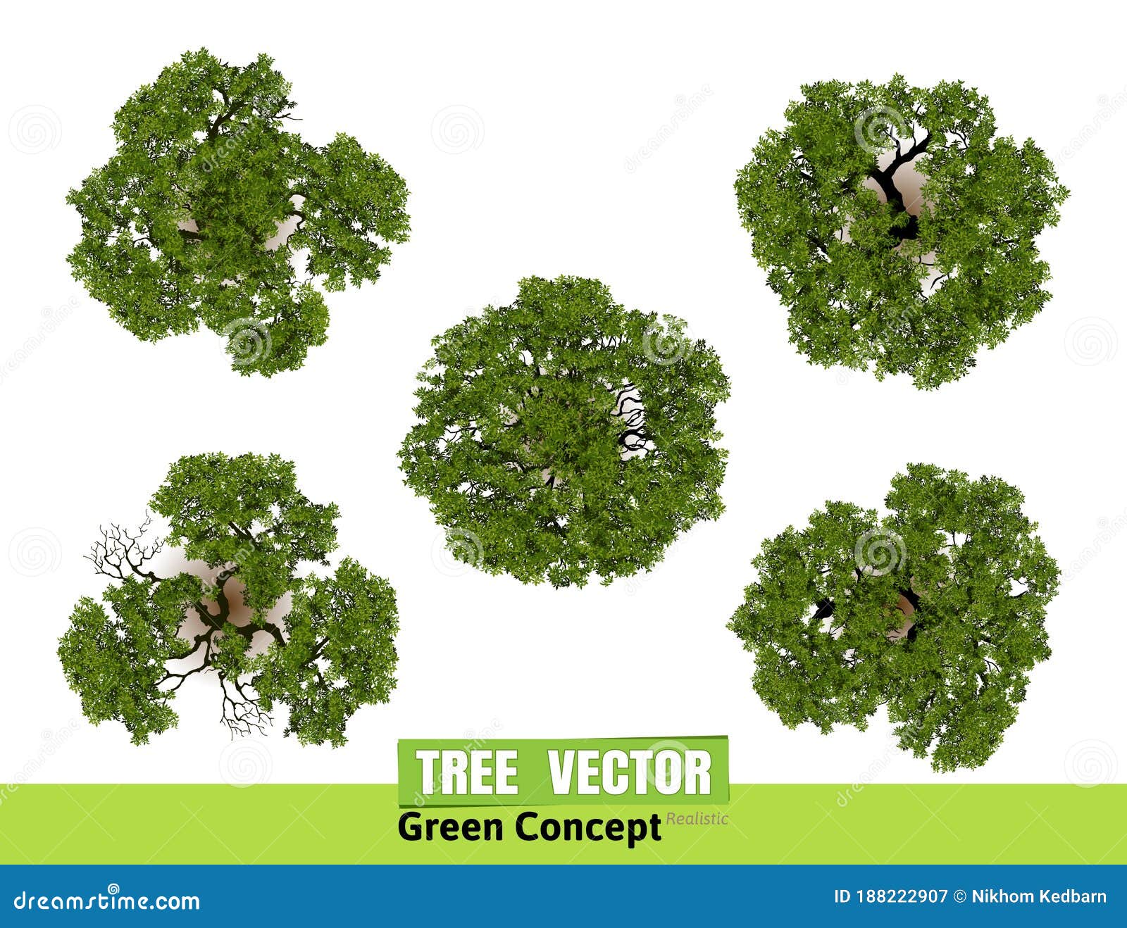 Trees Top View For Architecture Landscape Design Projects Cartoon ...