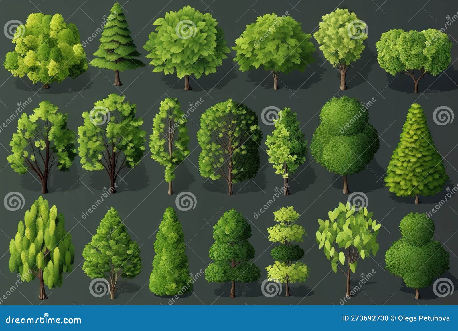 A Collection of Trees and Bushes in Various Stages of Growth, with a ...