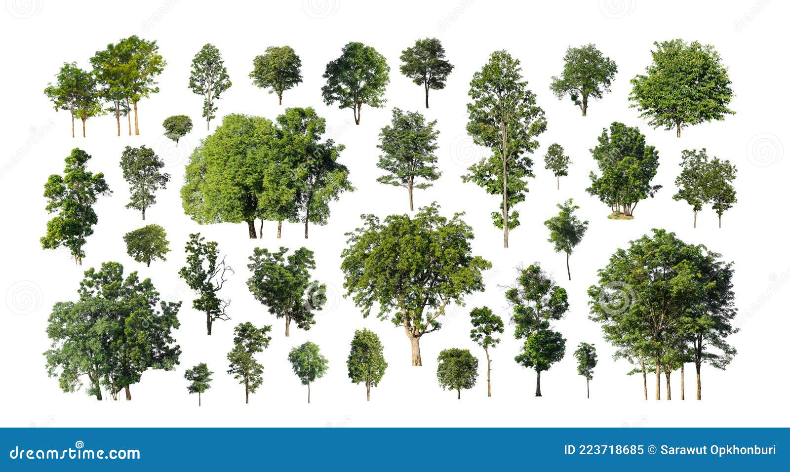 Collection Trees Cut Out from Original Background Stock Image - Image ...