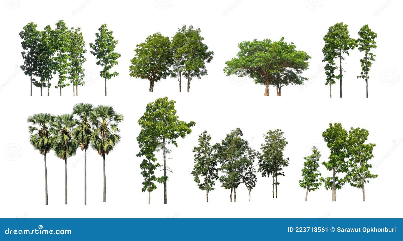 Collection Trees Cut Out from Original Background Stock Image - Image ...