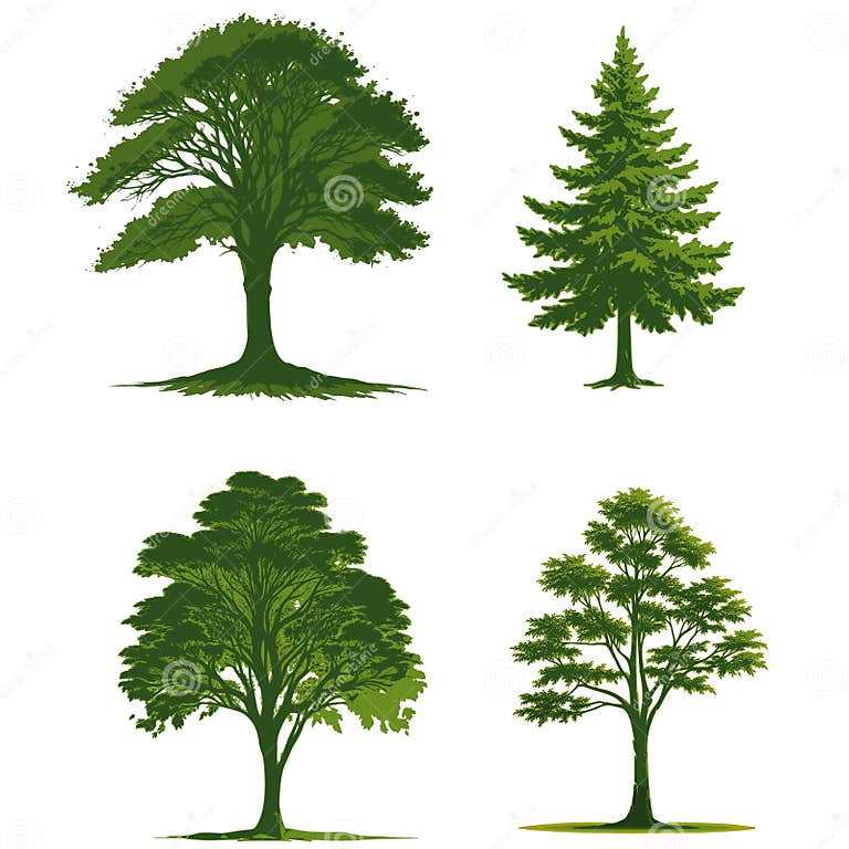 Collection of Trees: Four Tree Illustrations are Displayed Against a ...