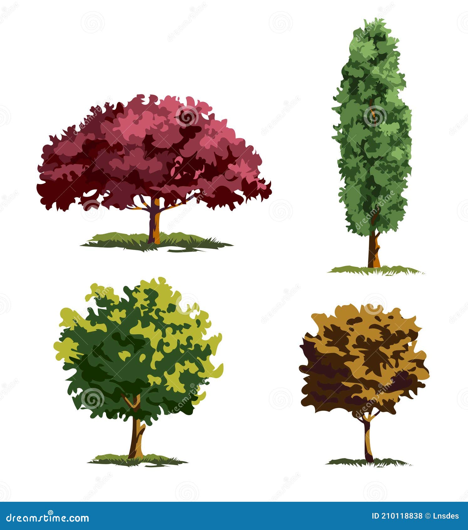 Collection Trees with Leaves, Set of Different Deciduous Trees ...