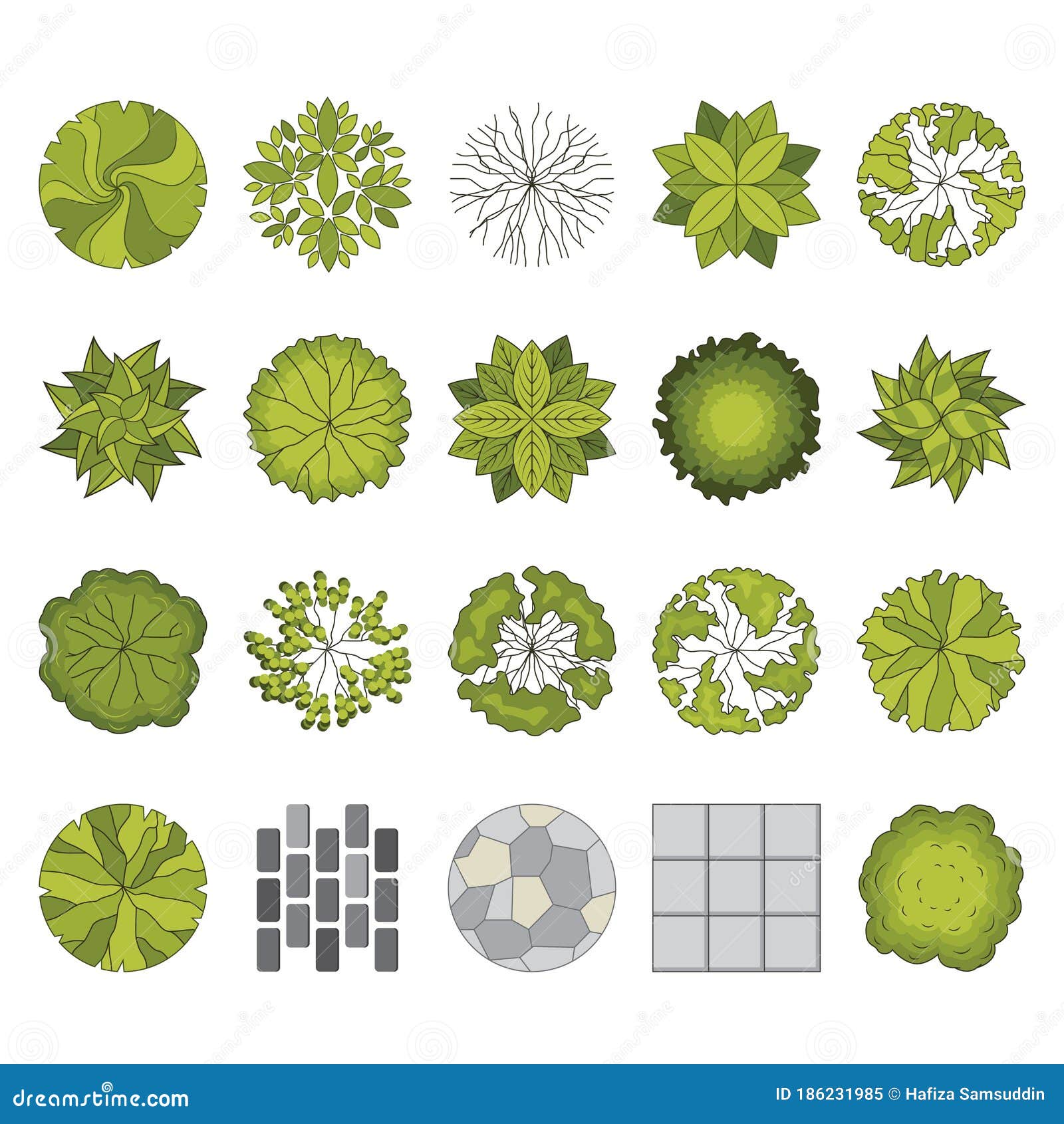 Collection of Trees and Pavements. Vector Illustration Decorative ...