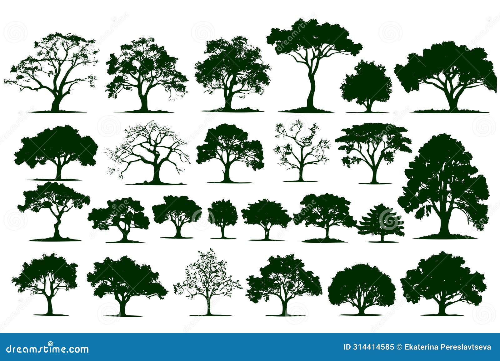 Collection of Trees in Various Sizes and Shapes Stock Vector ...