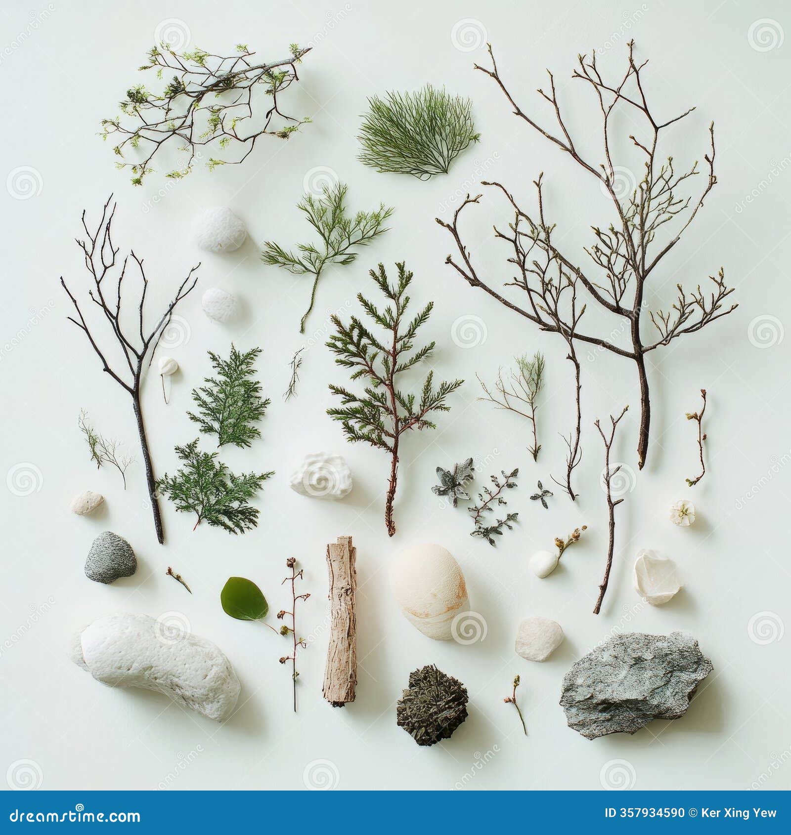 Set Of Natural Objects. Coloring Book For Children With Color Thick ...